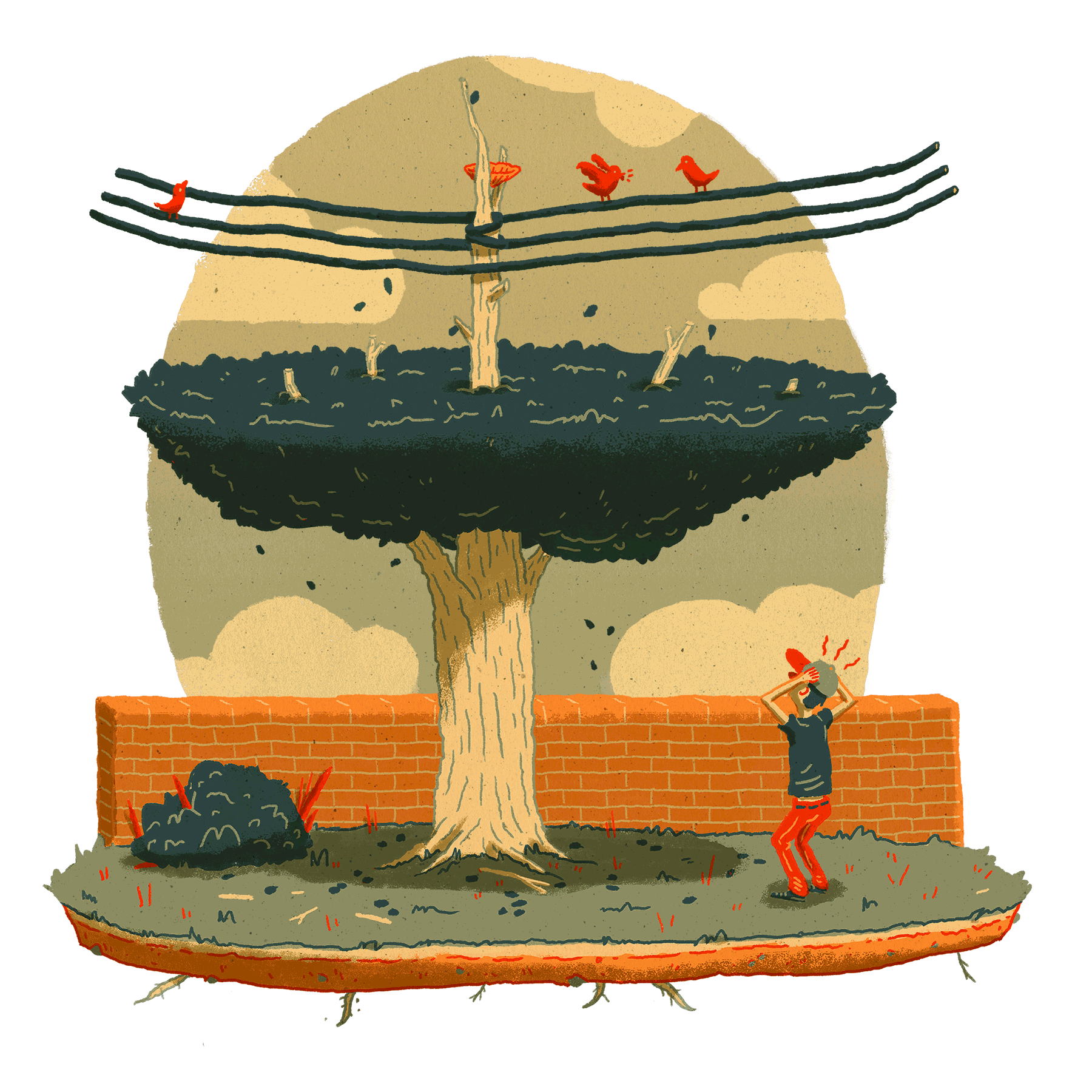 Jeff Lowry - Bad Tree Trim