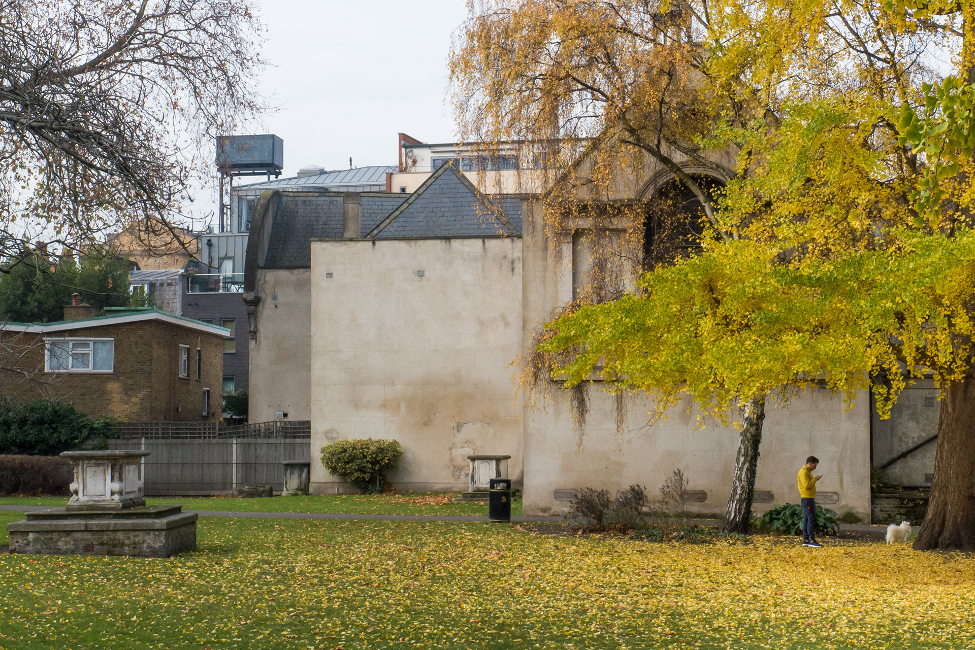 James Crissman Photography - Yellow