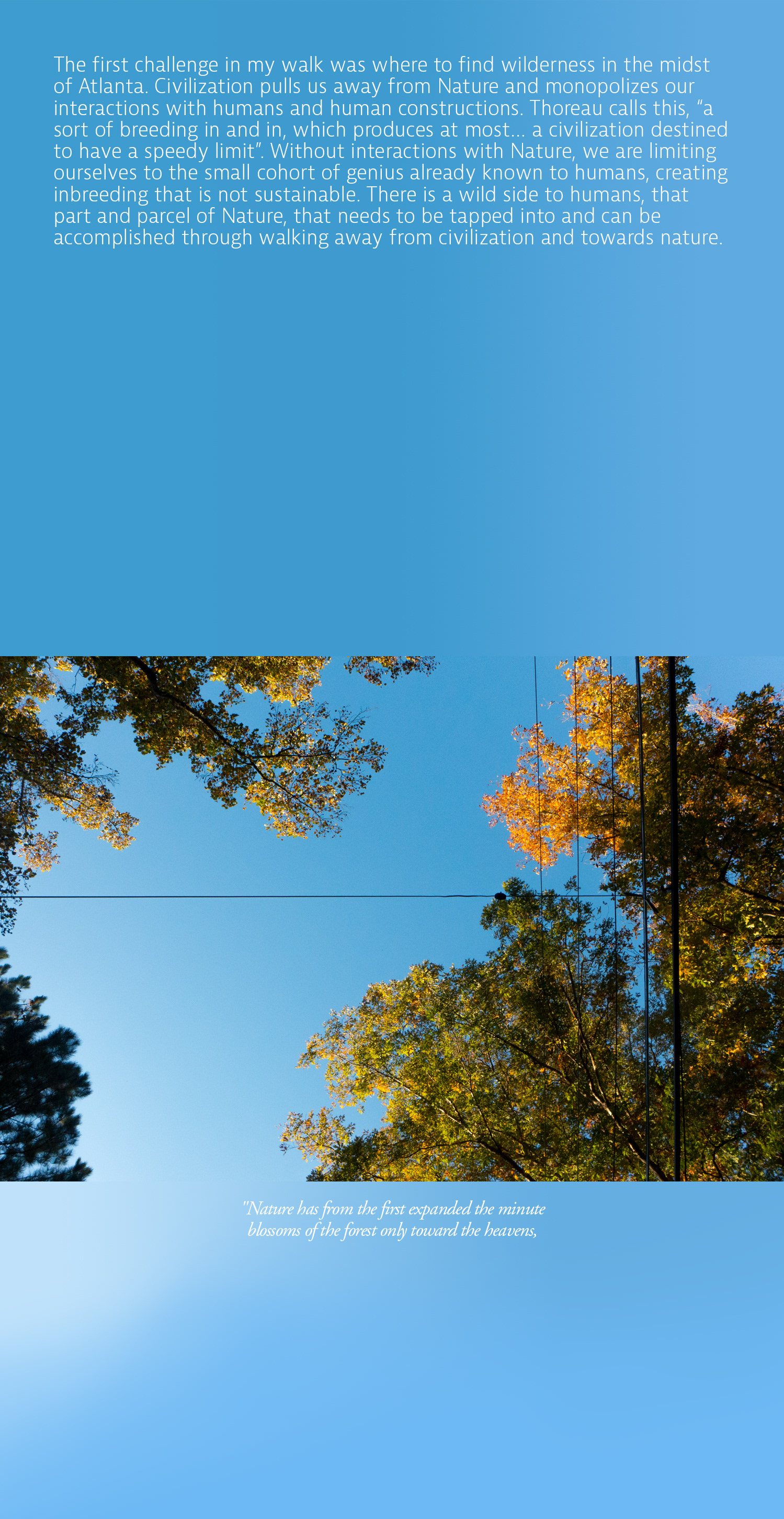 James Crissman Photography - Walking