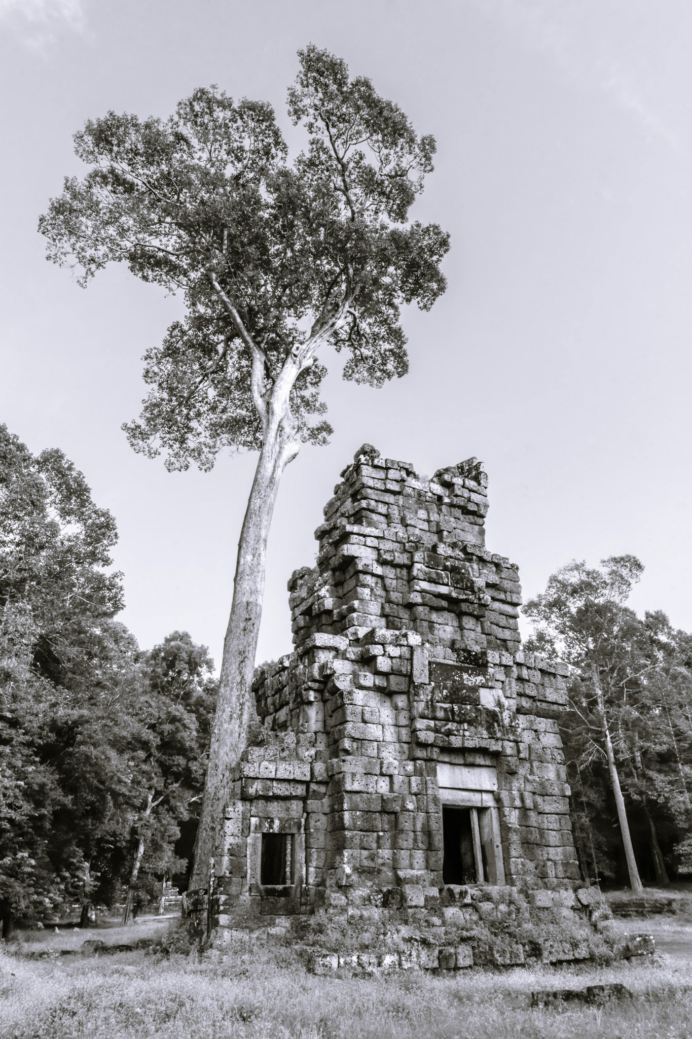 william little - Bon Om Touk