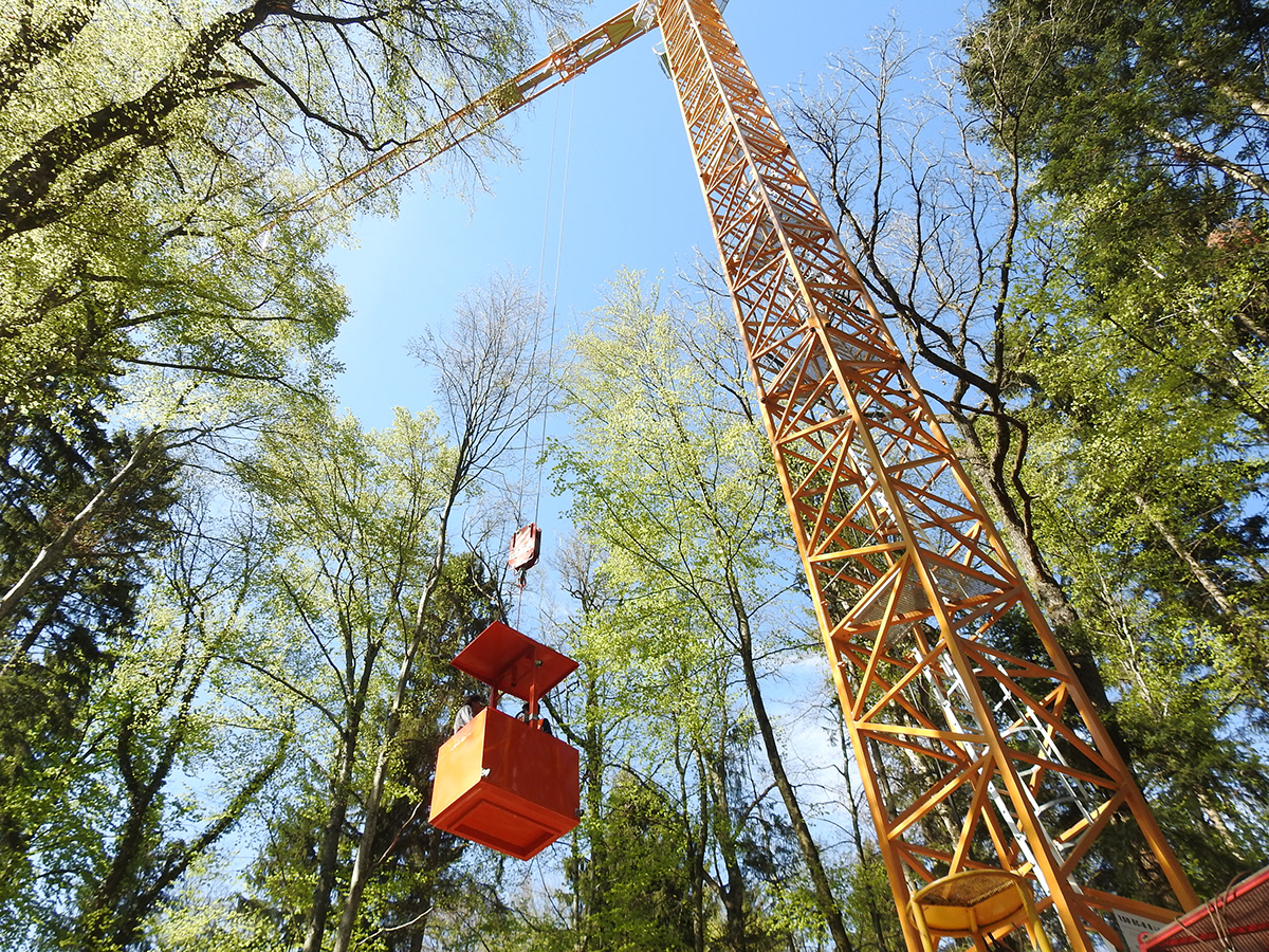 Halil Kesselring alivesea - Swiss Canopy Crane II