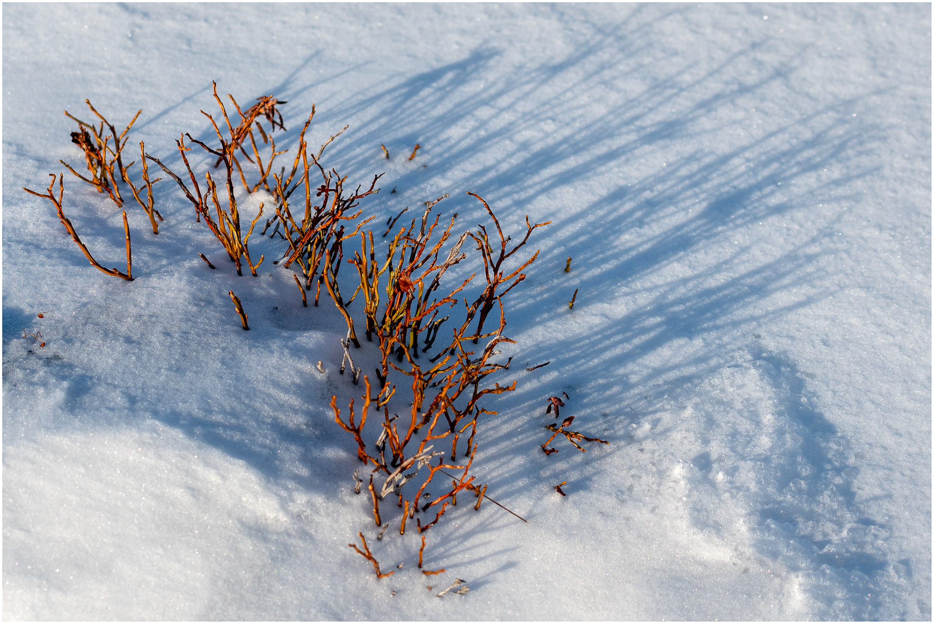 Martin Patz - Northern Lights Tour