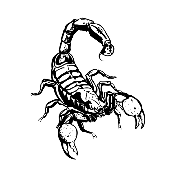 The Scorpion Club