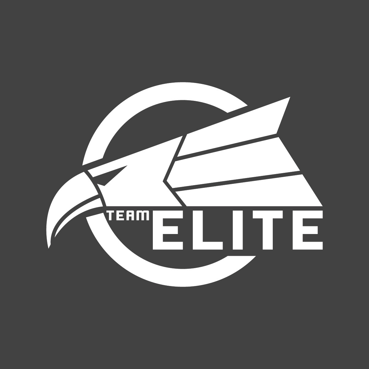 WRAITHBOT - Team Elite Esports Branding
