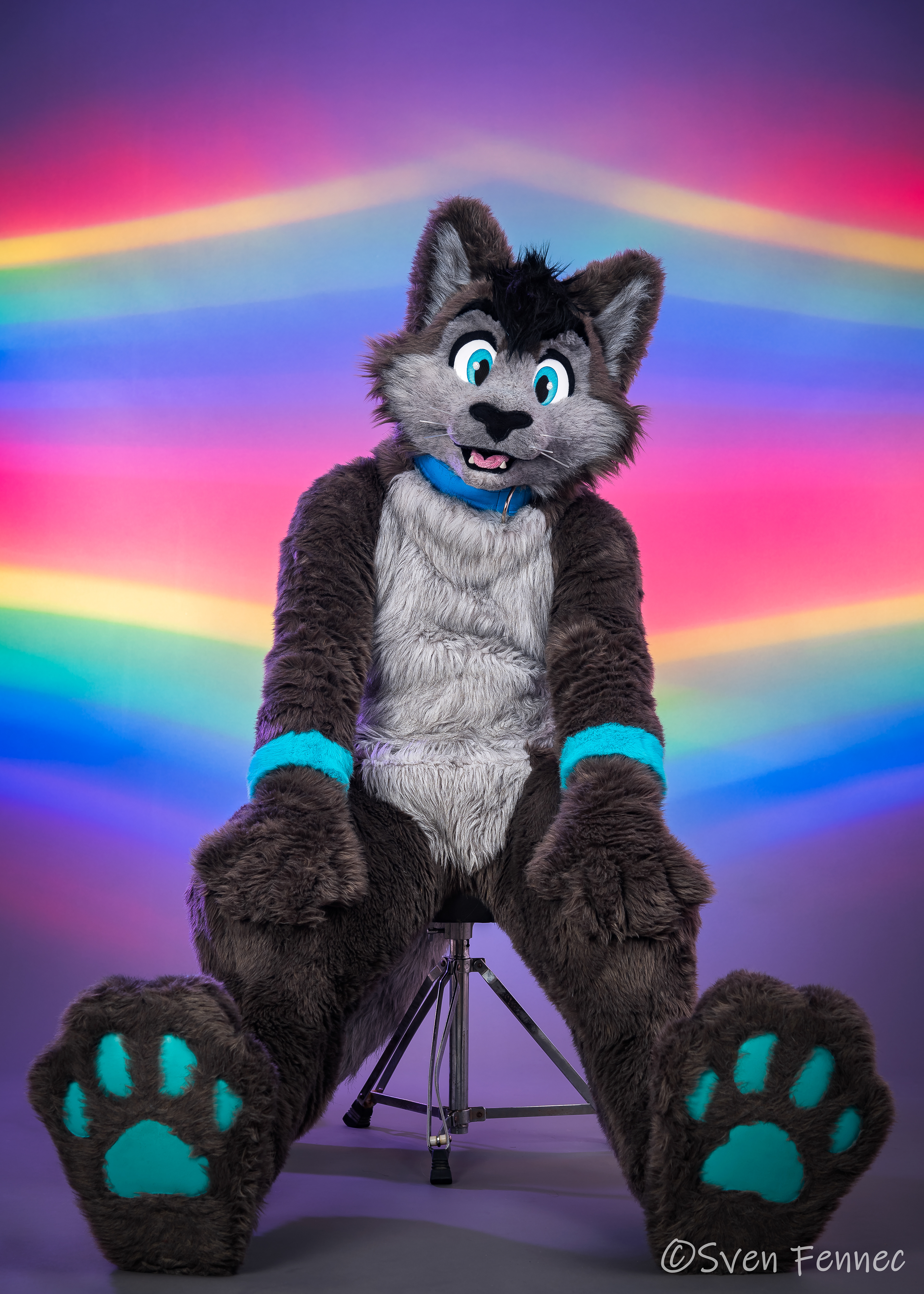 Sven Fennec Photography - 2018-2020 Studio Fursuit Portraits
