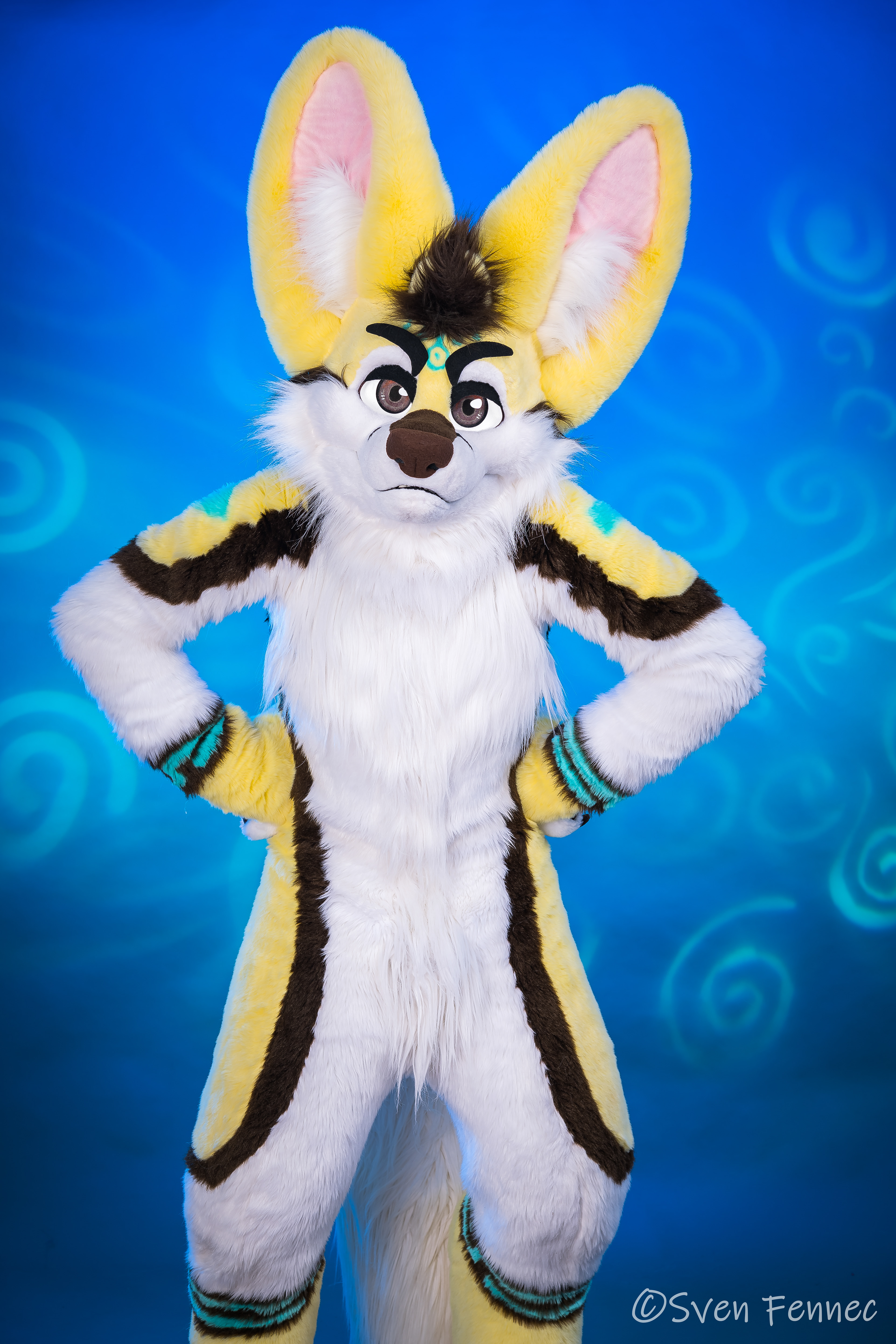 Sven Fennec Photography - 2018-2020 Studio Fursuit Portraits