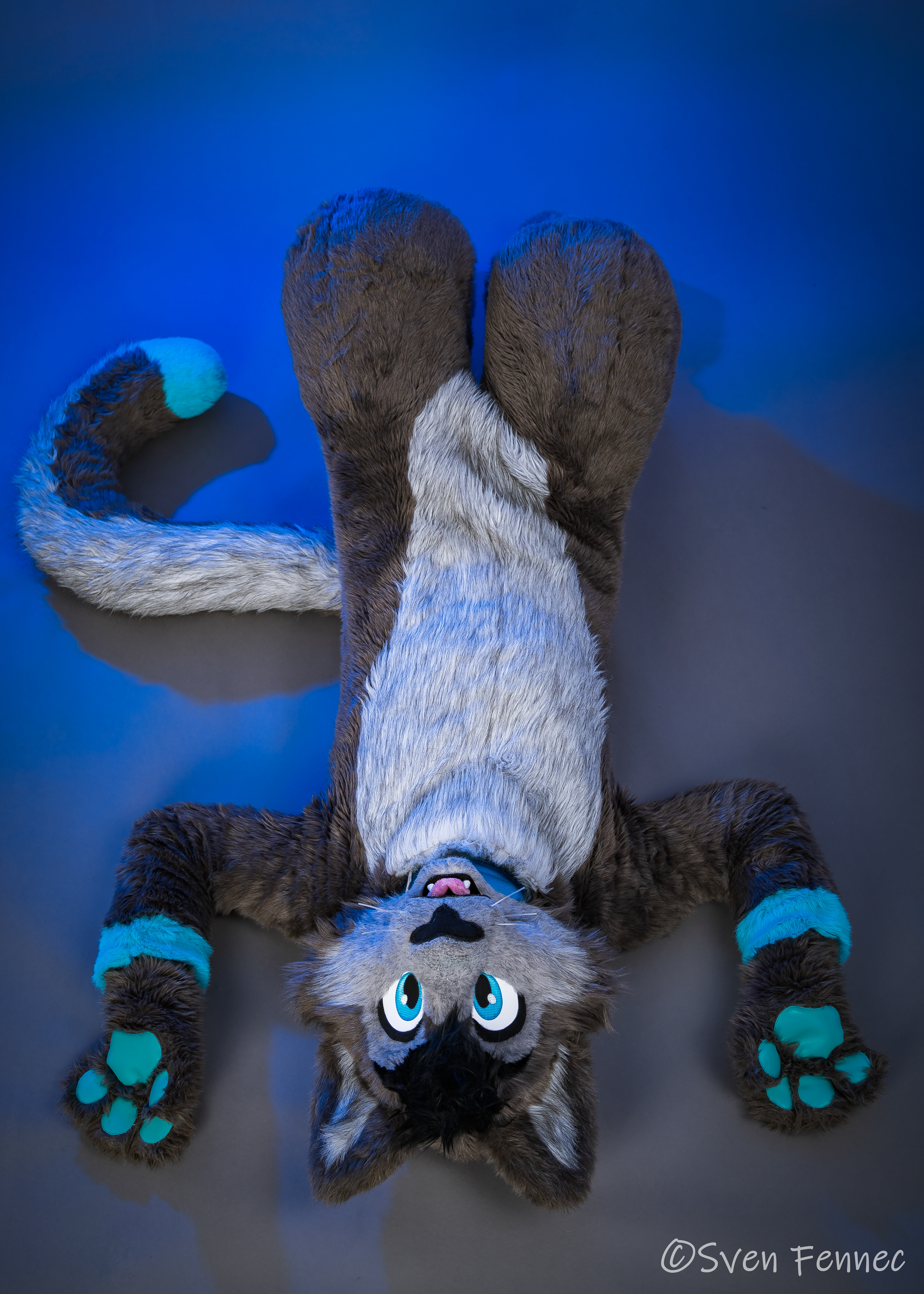 Sven Fennec Photography - 2018-2020 Studio Fursuit Portraits