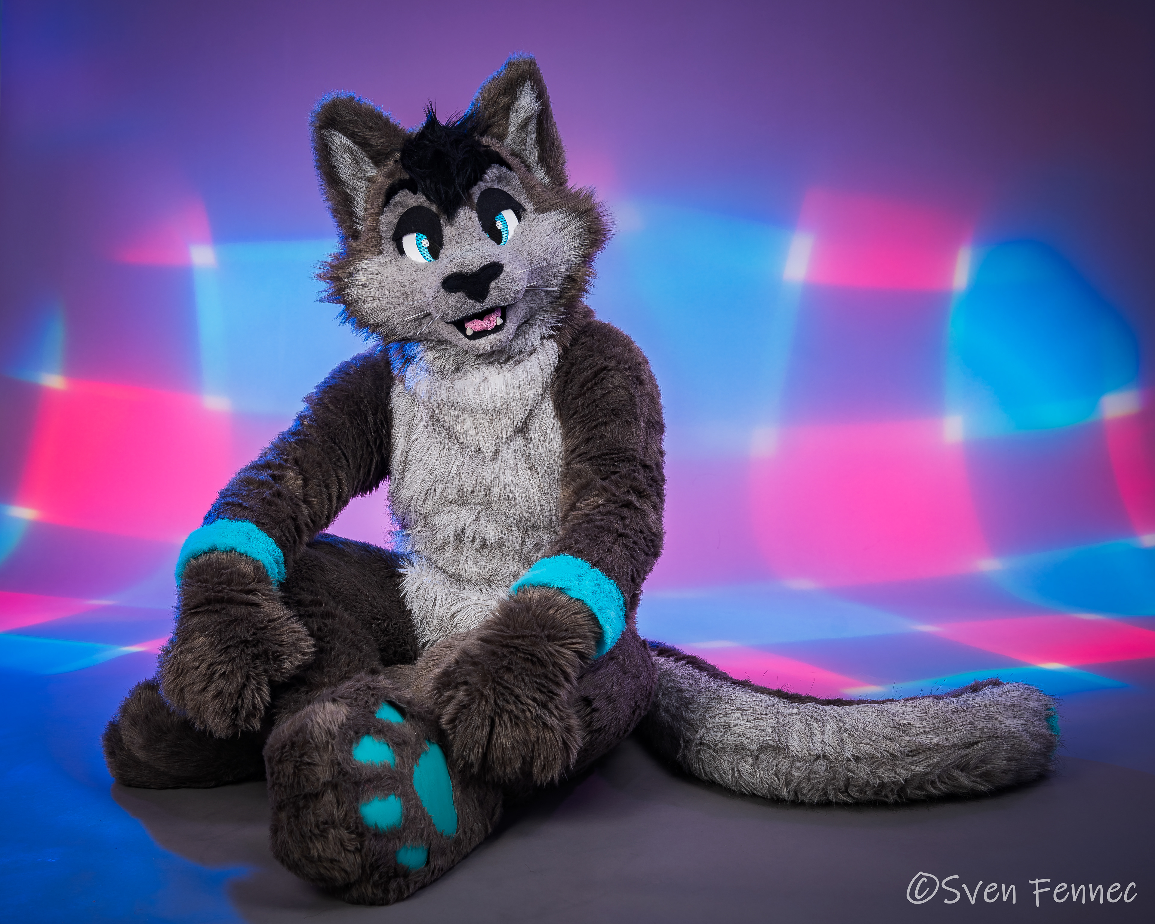 Sven Fennec Photography - 2018-2020 Studio Fursuit Portraits