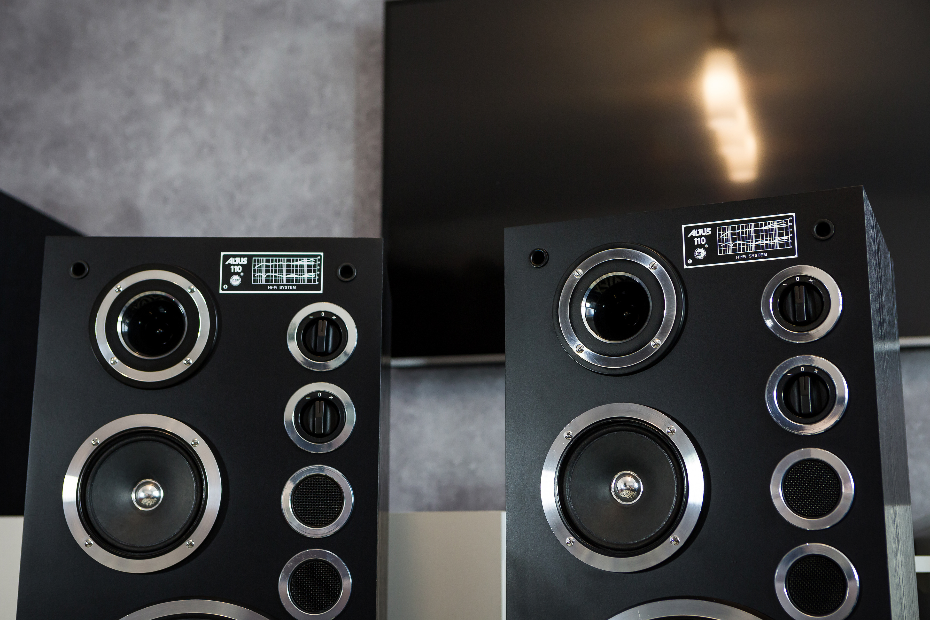 Piotr Pałka | Projekty graficzne | Fotografia - Altus 110 HGS Tonsil