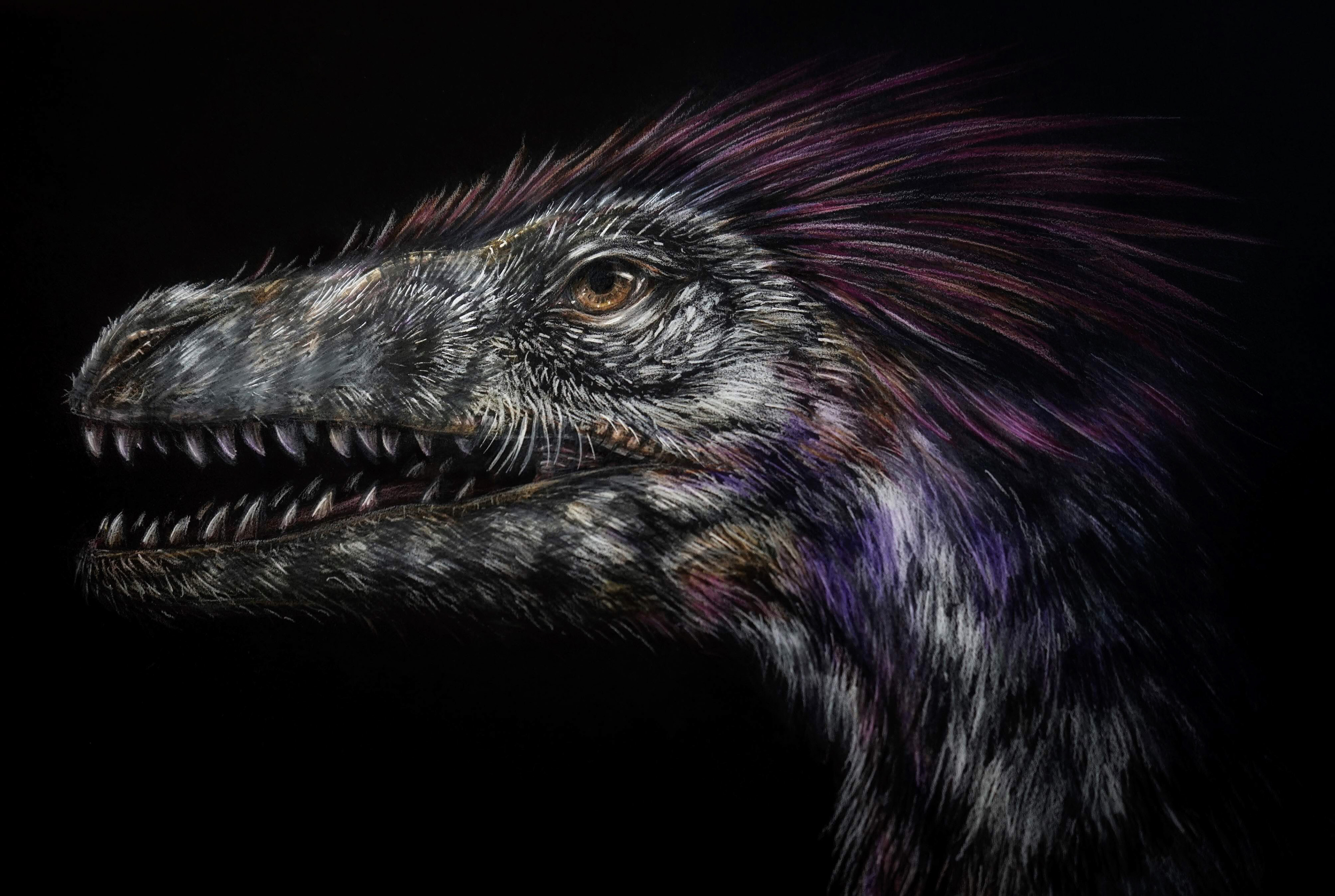 Kelly Stanford - Science Communicator and Artist - Other Work