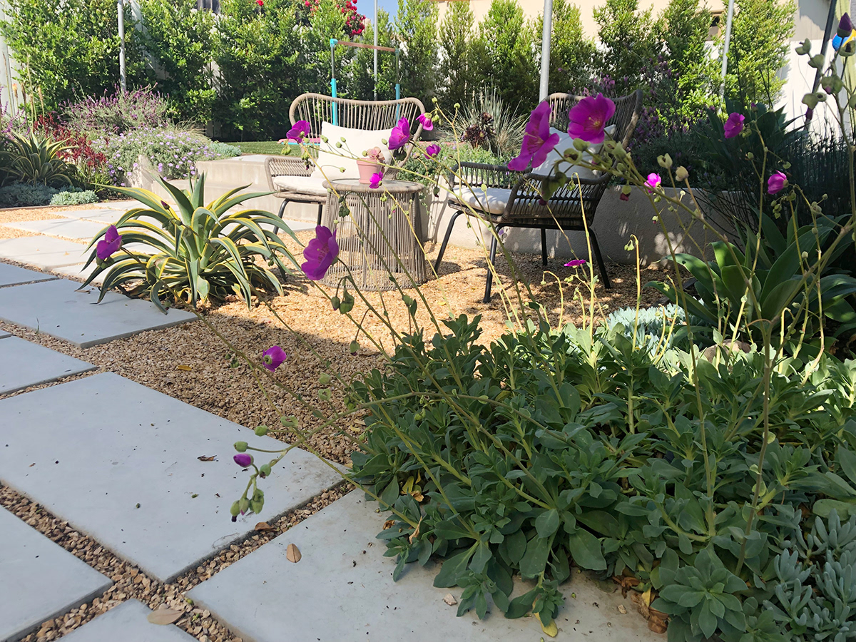 Jen Conlon Landscape Design - Buena Vista Avenue