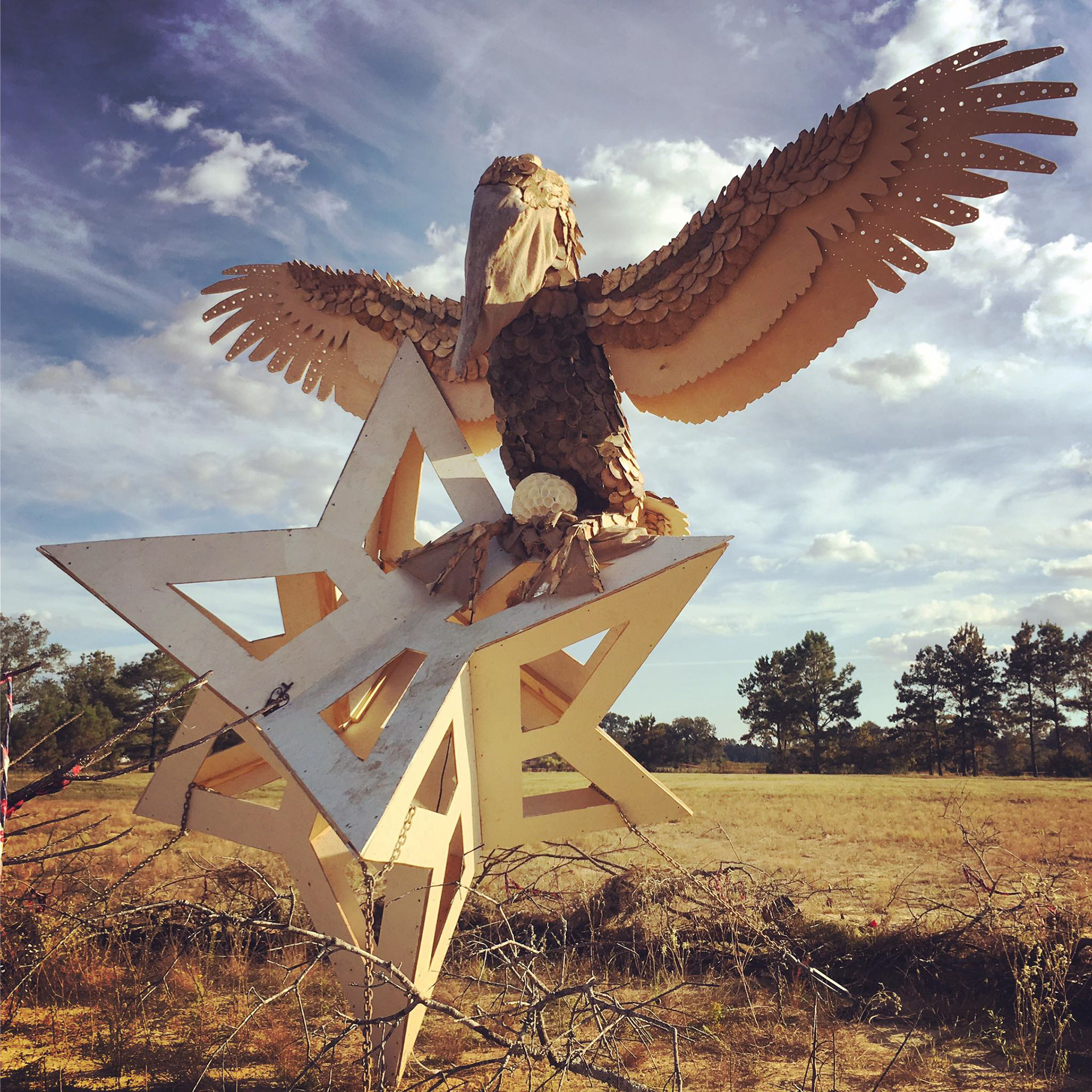 Brennan Steele - Pelican Star Nest - Engulf 2016