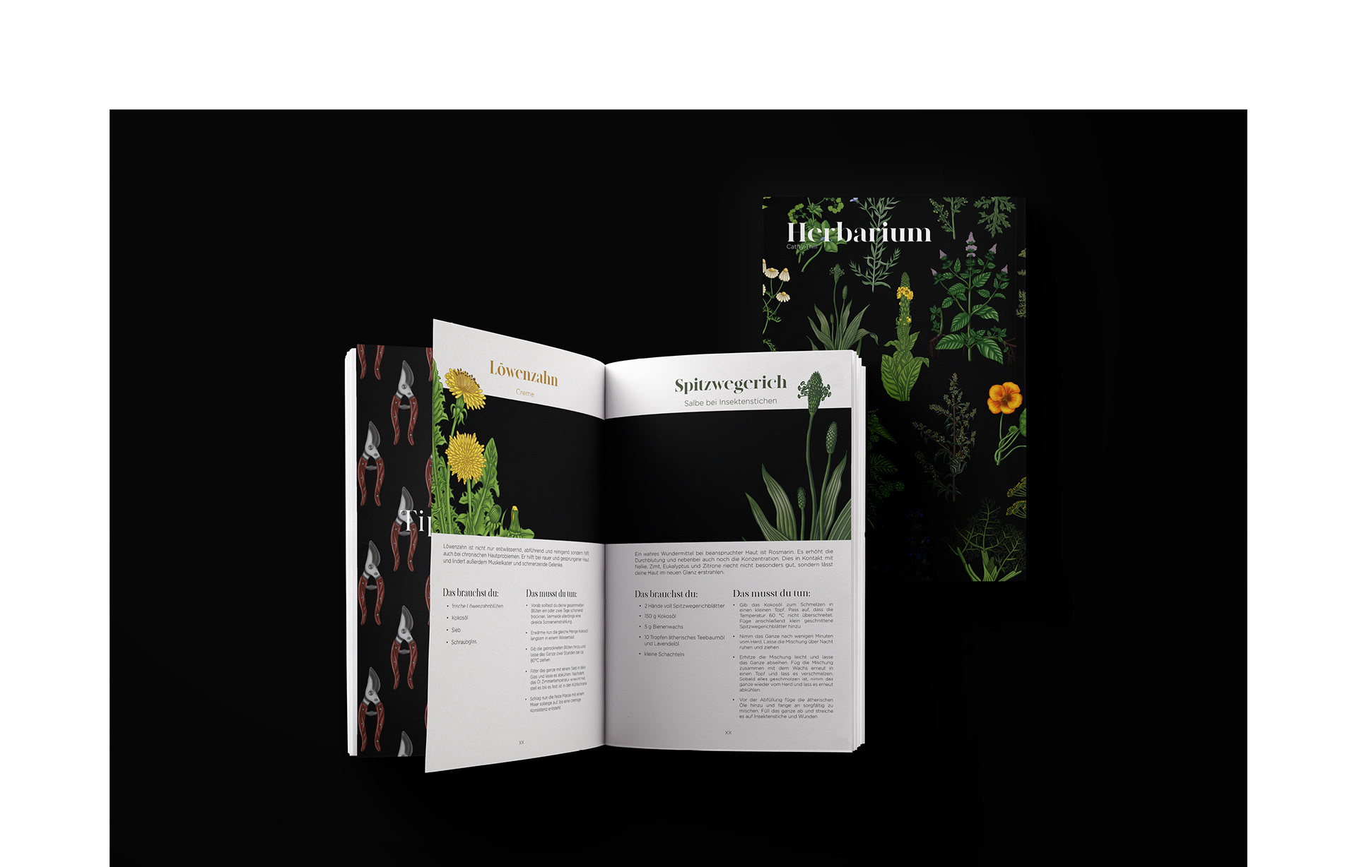 Cathy Thill - HERBARIUM