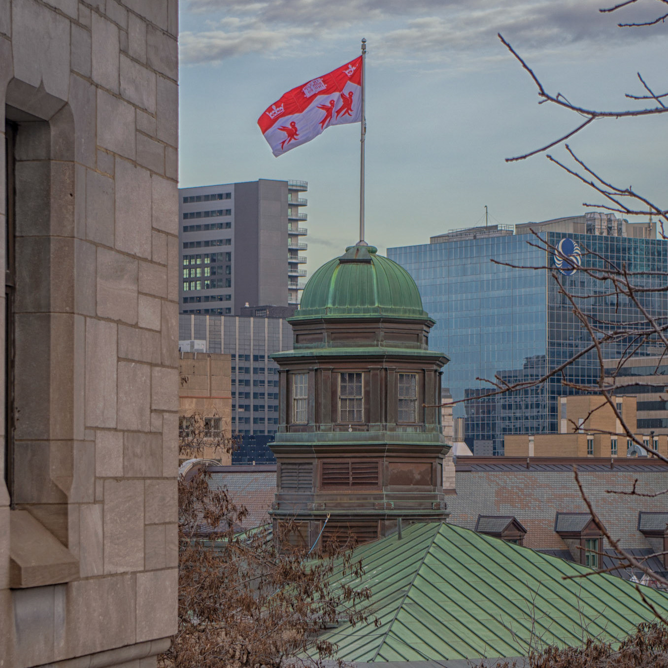 Mark Quinsey Photography