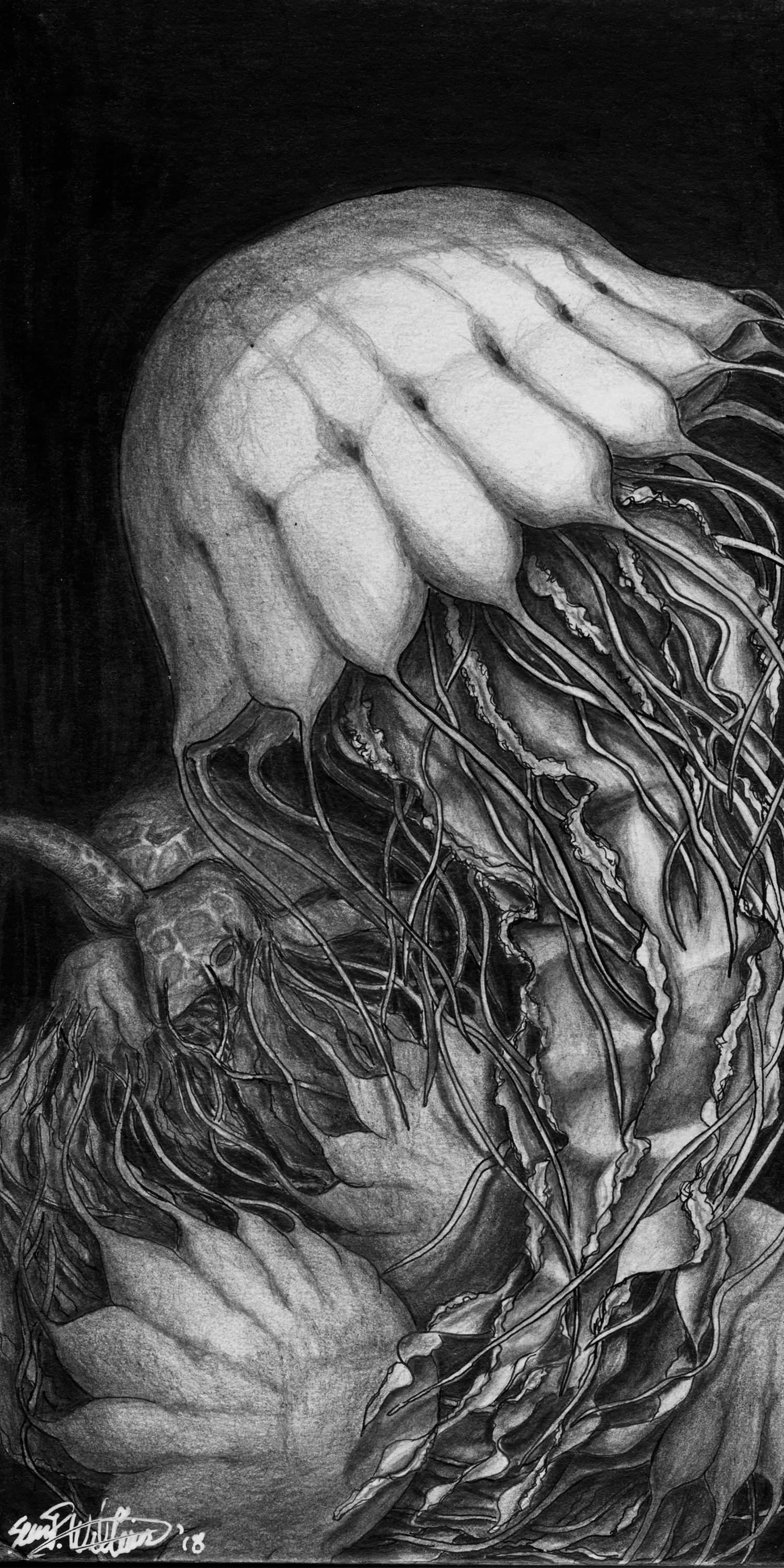 Sean Williams - Original Artwork