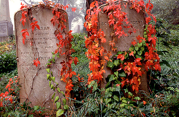 Laura Savidge - New England – Cape Ann and Cape Cod