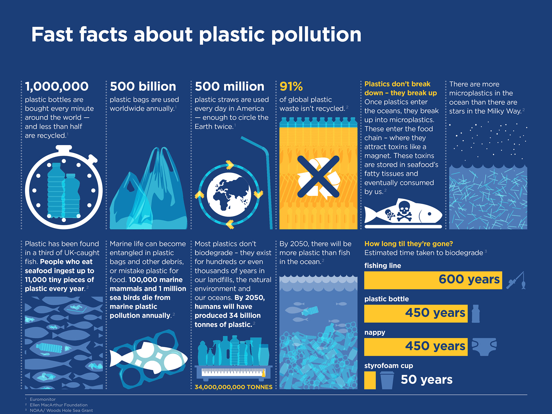 Sarah Kettle - Plastic pollution