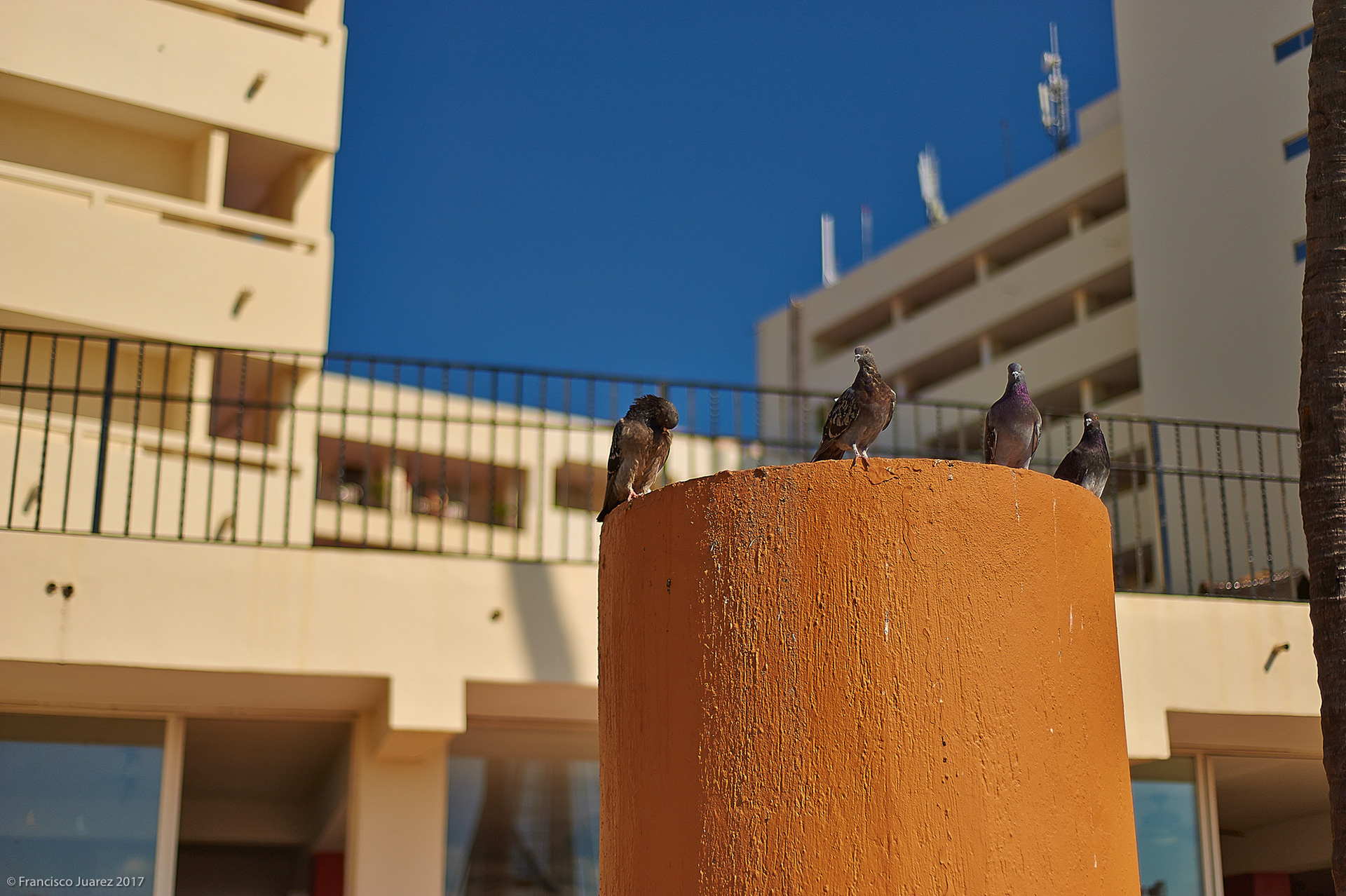 Paco Juarez - Arquitectura y Ciudad
