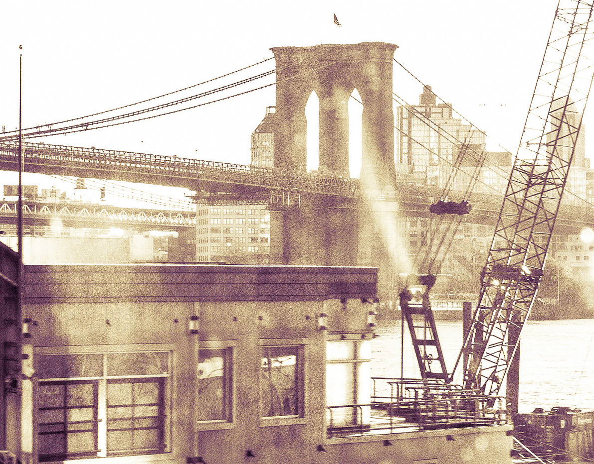Dave Pappas - Brooklyn Photography Dave Pappas - Brooklyn Photography
