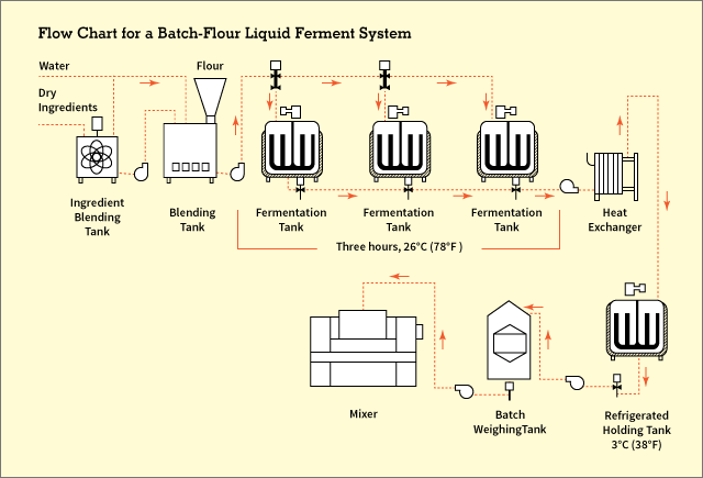 Amy Chan Design - Portfolio - Infographics - Bakerpedia Fermentation ...