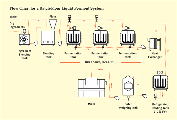 Amy Chan Design - Portfolio - Infographics - Bakerpedia Fermentation ...