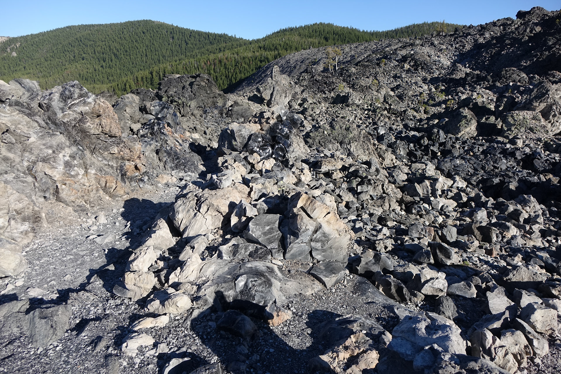 Erick Gallun - Big Obsidian Flow 2019