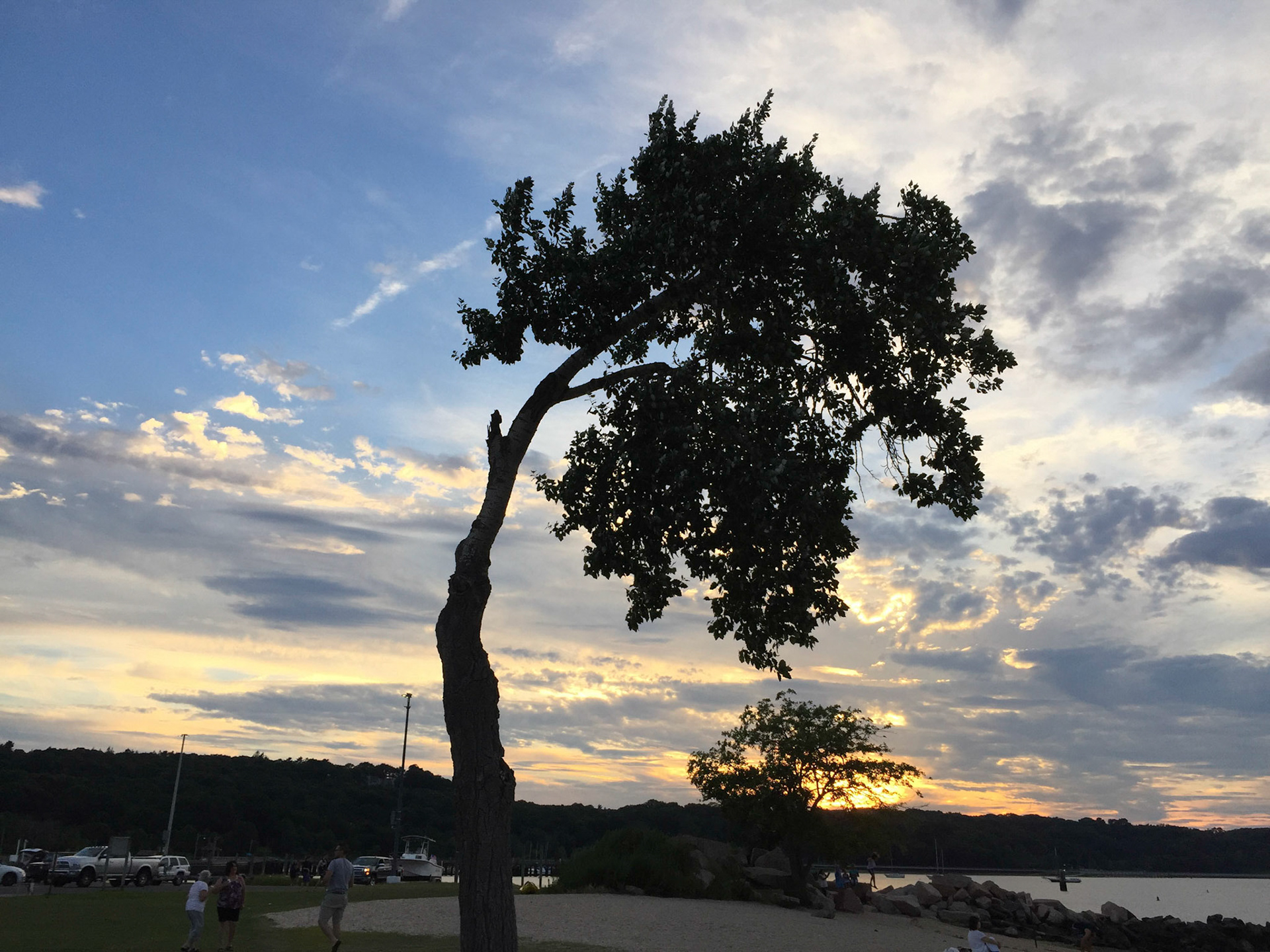 heatherwilson.photography - Sad Tree