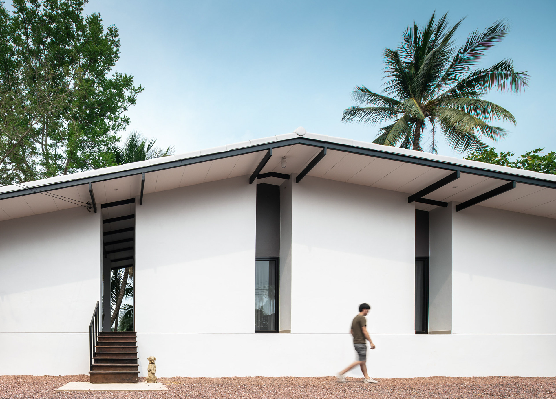 PanoramicStudio - COCONUT HOUSE