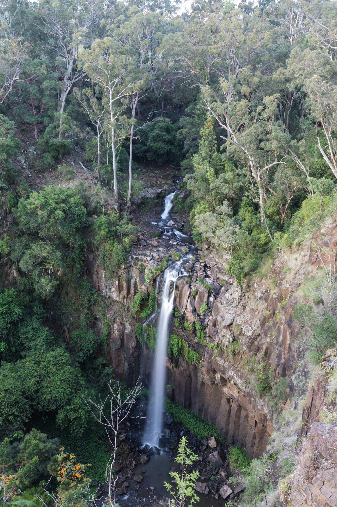 Trevor Martin - Waterfalls
