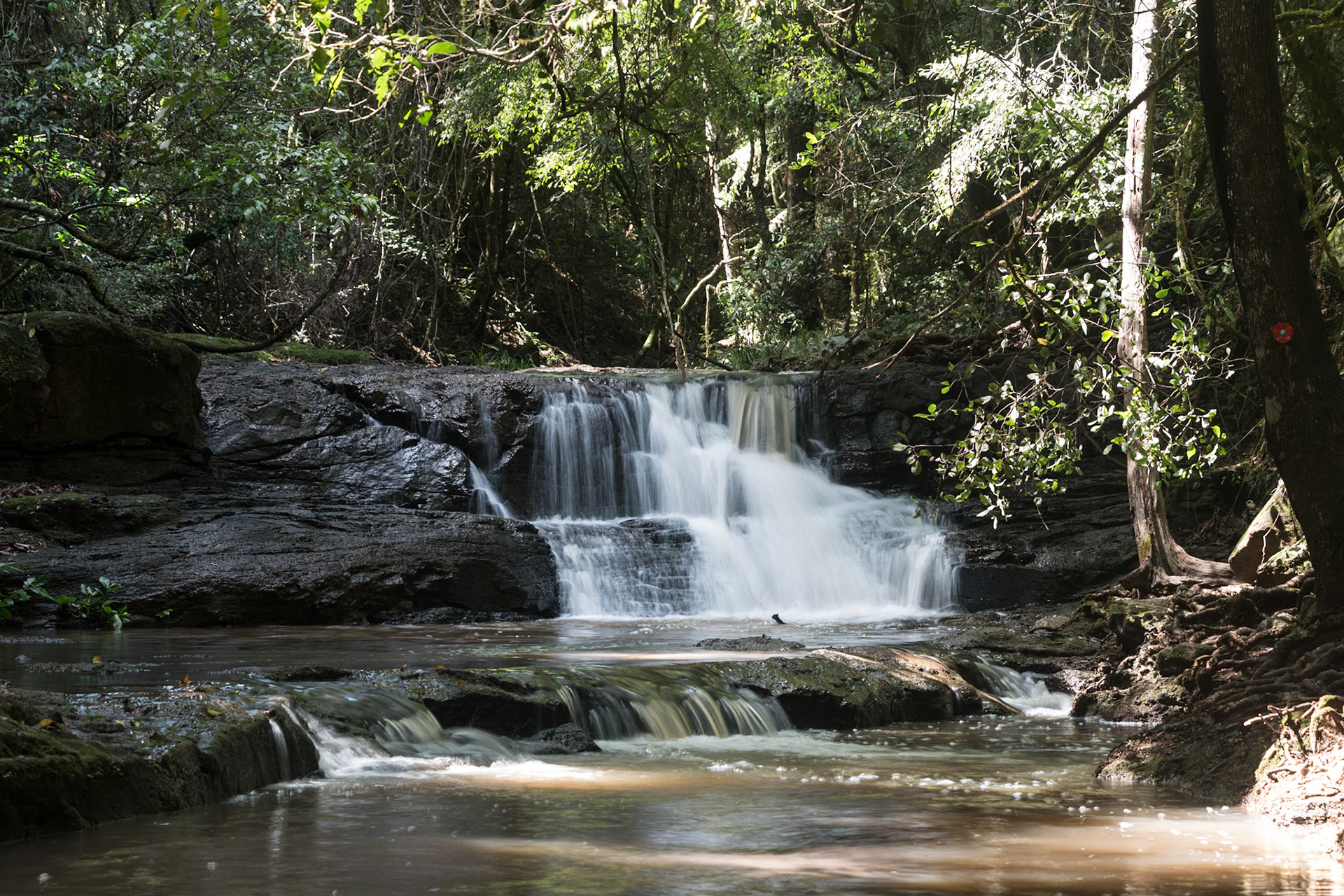 Trevor Martin - Waterfalls
