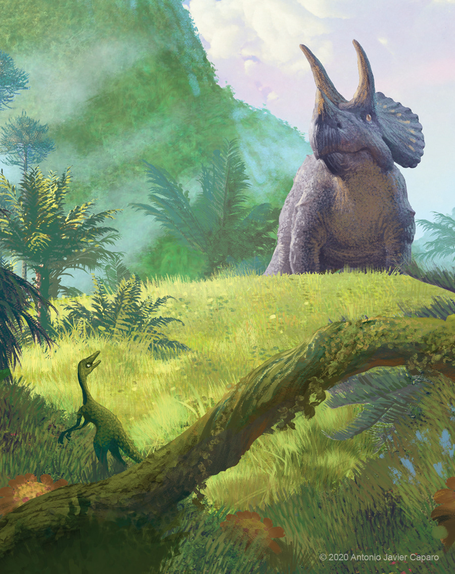 Antonio Caparo Illustrations - Dinosaurs Before Dark