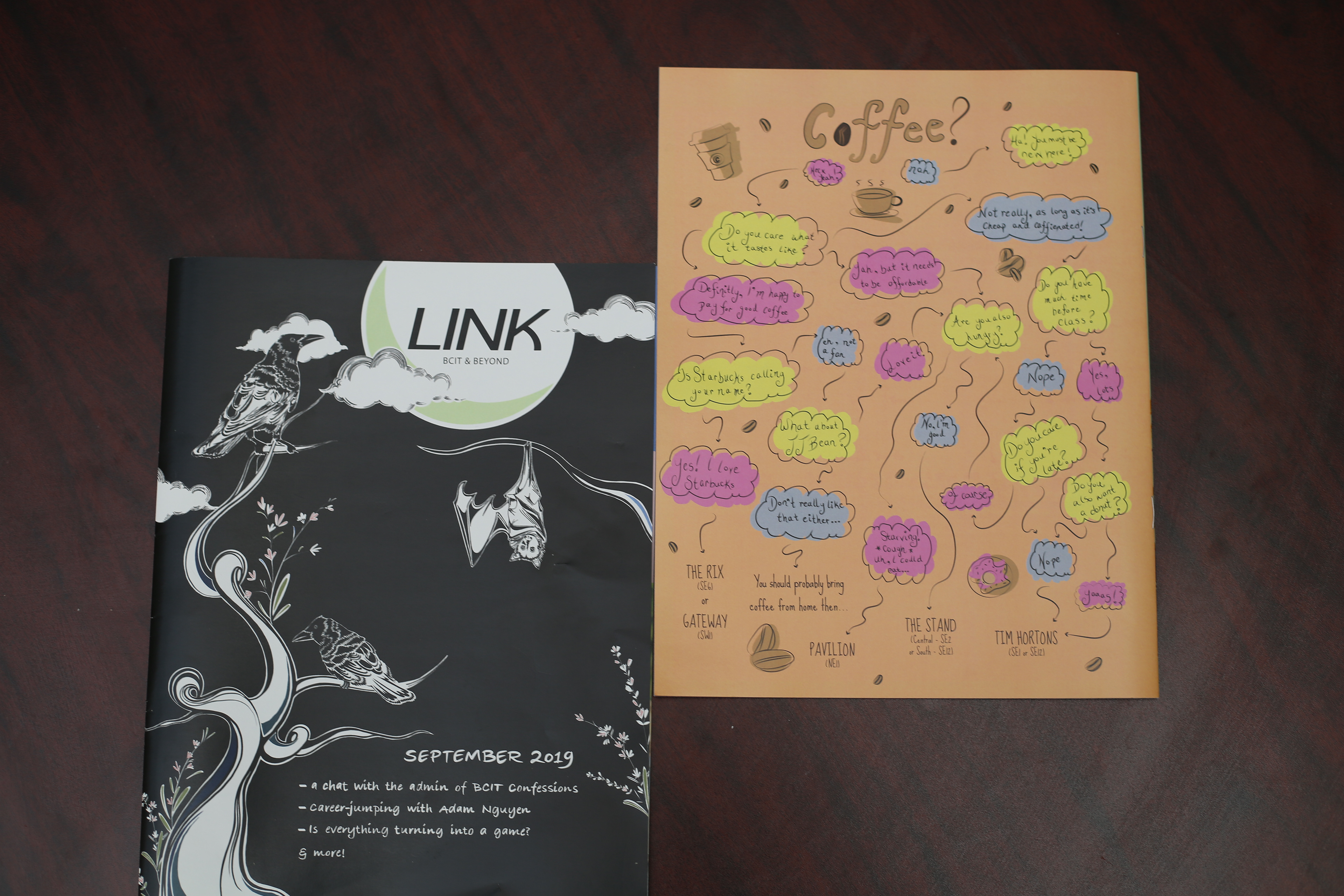 Samantha Pasielski - LINK magazine: Coffee Flowchart