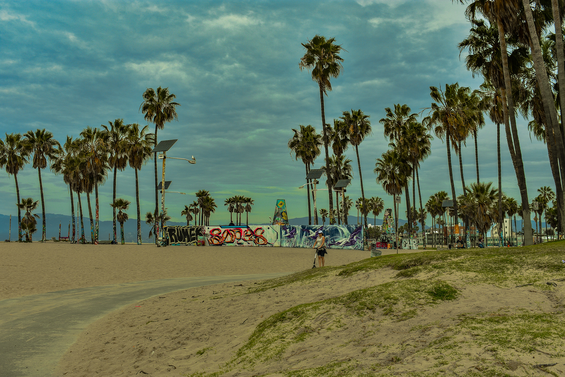 Avery Cook - Environment