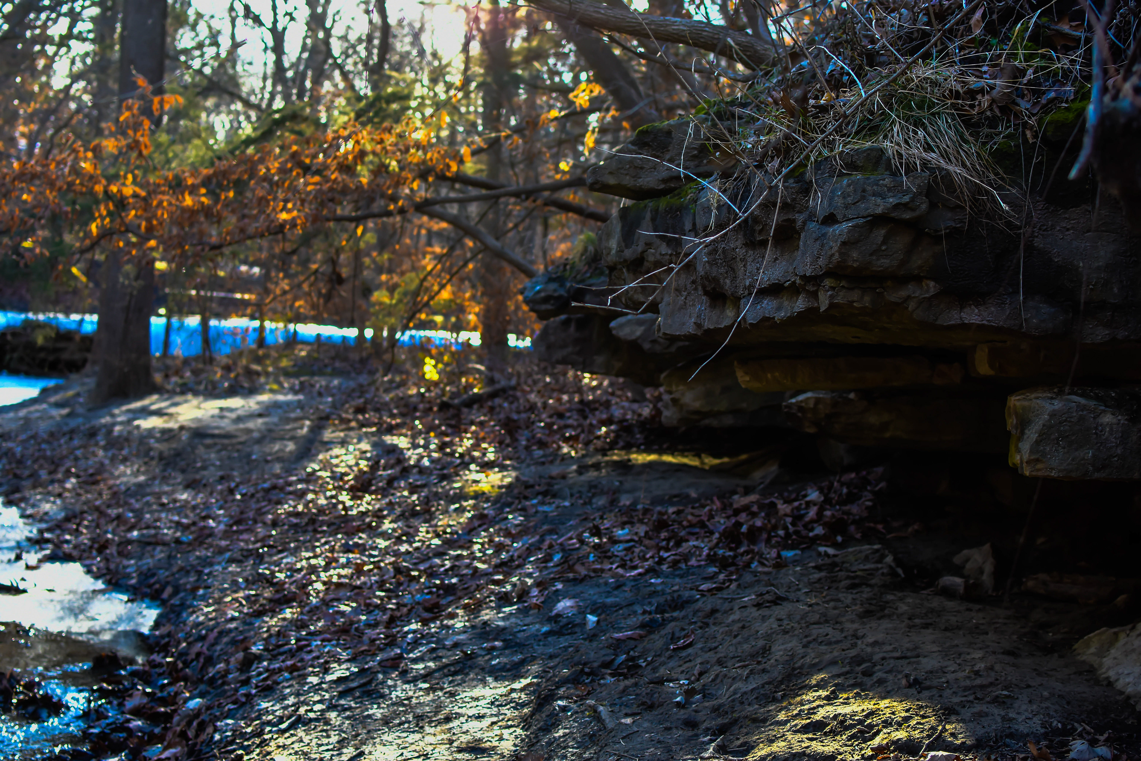 Avery Cook - Environment