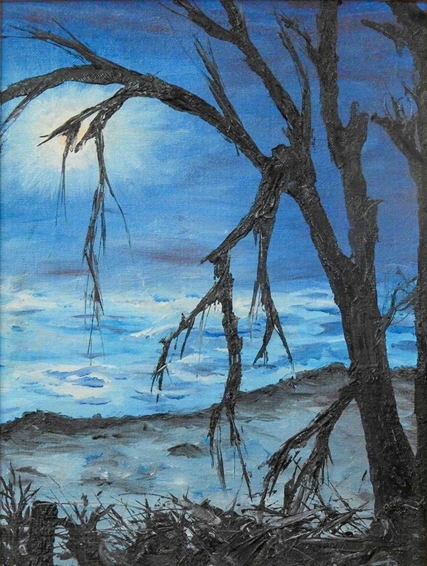 Deborah FitzGerald - Paintings