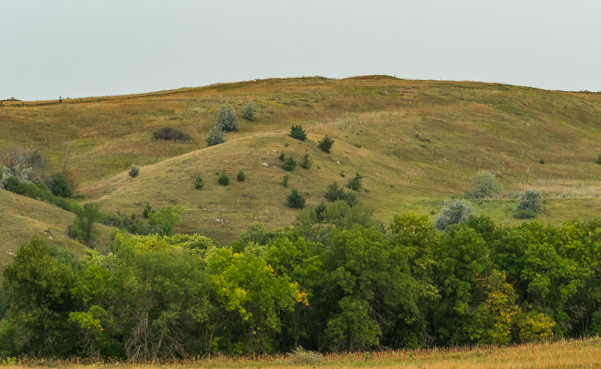Ryan Westerberg - Life on the Plains