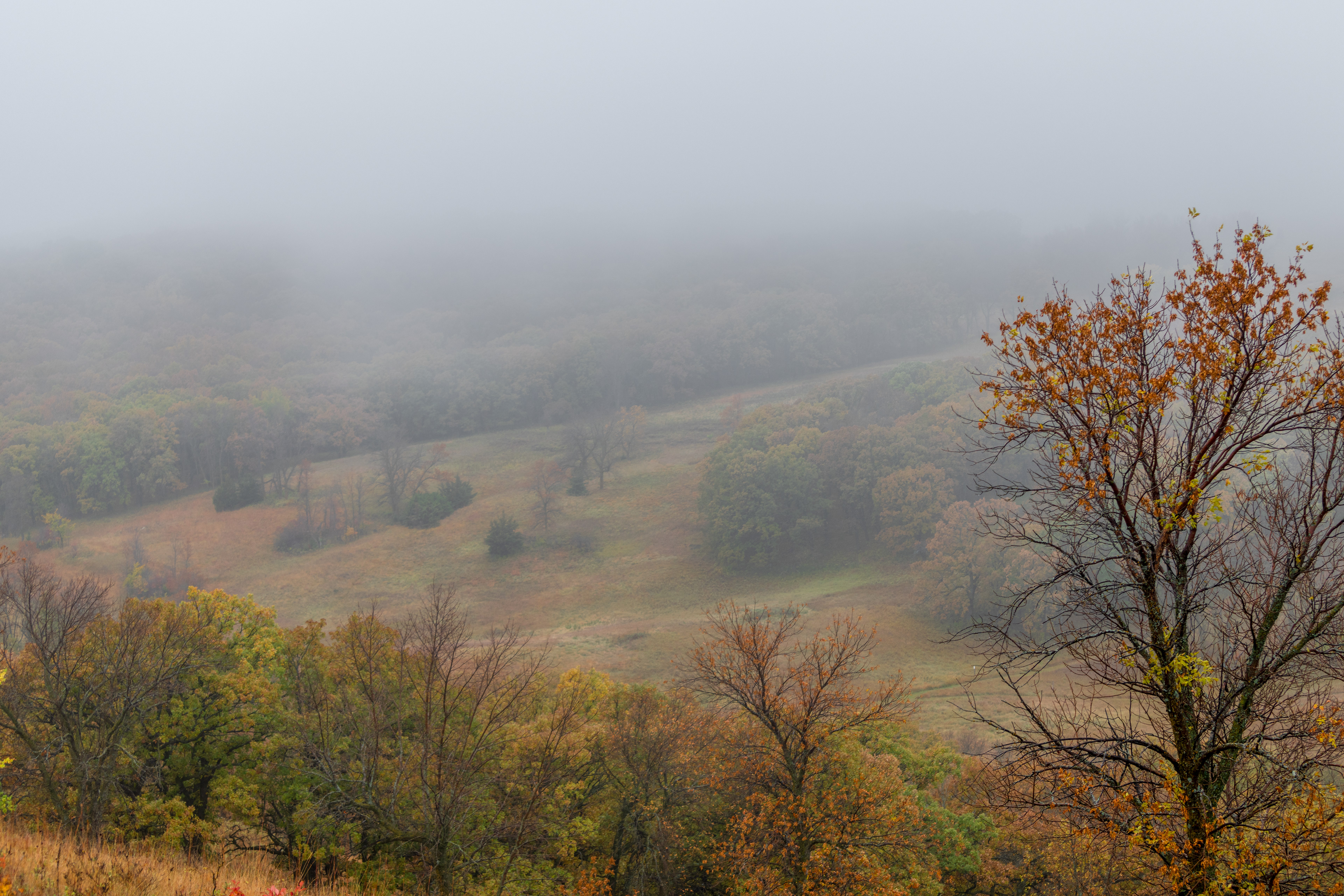 Ryan Westerberg - Life on the Plains