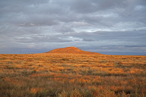 MEXICO NATURAL - pastizales