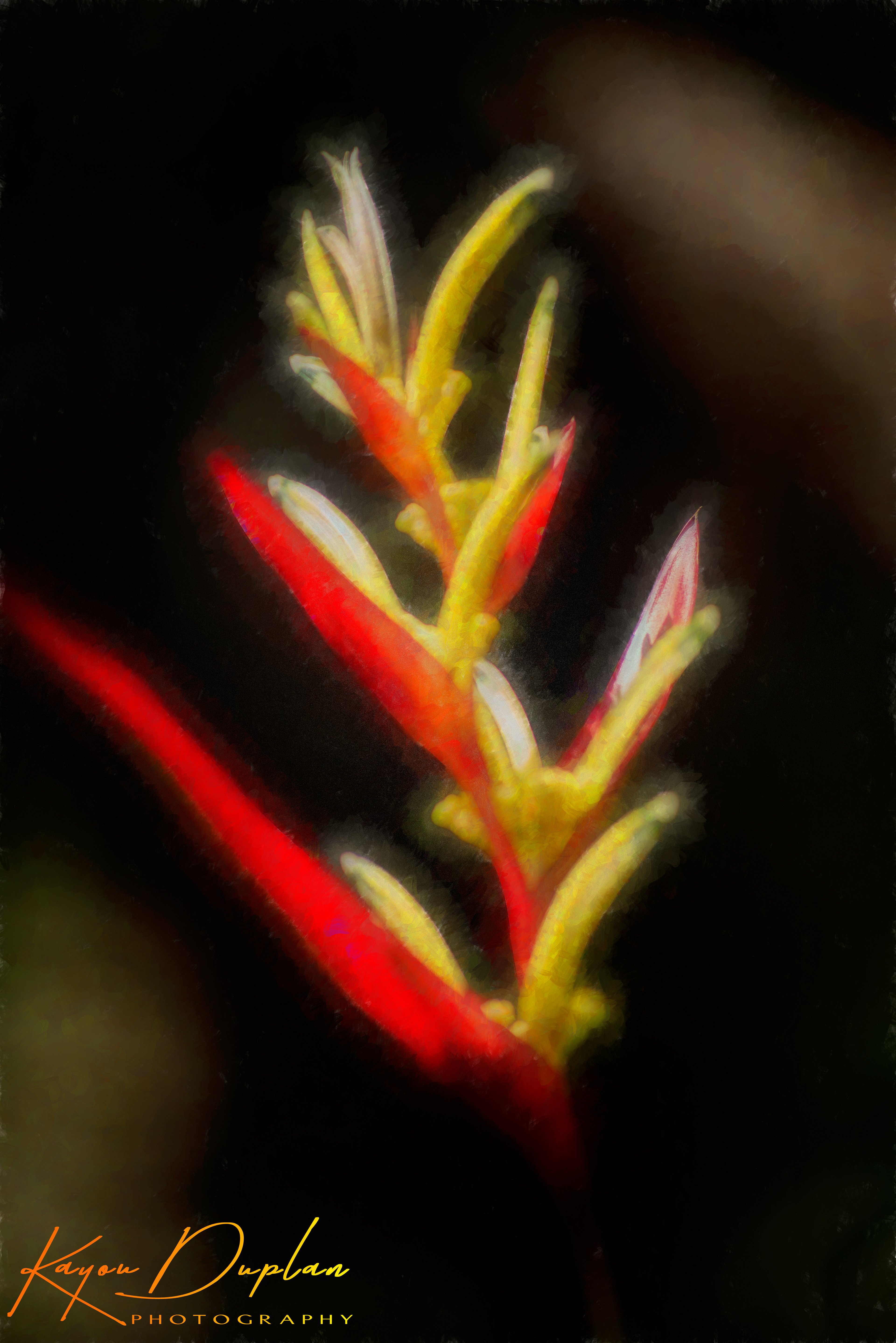 Kayou Media services - Art & Design