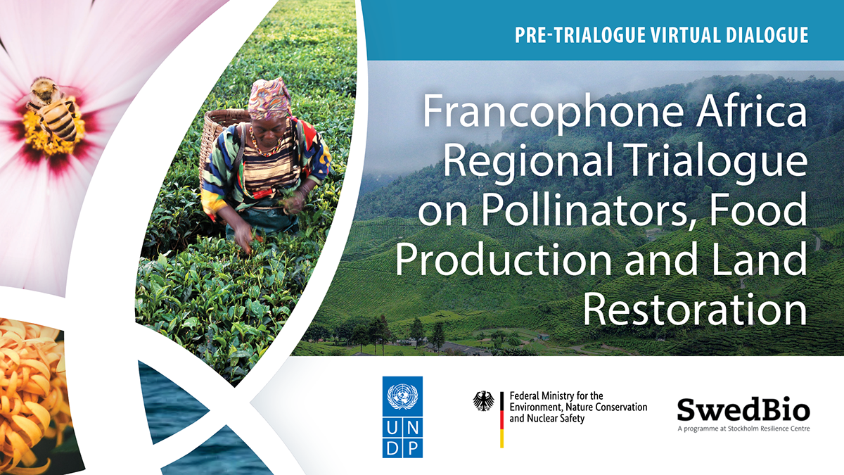 Words by Design - UNDP Conference Material