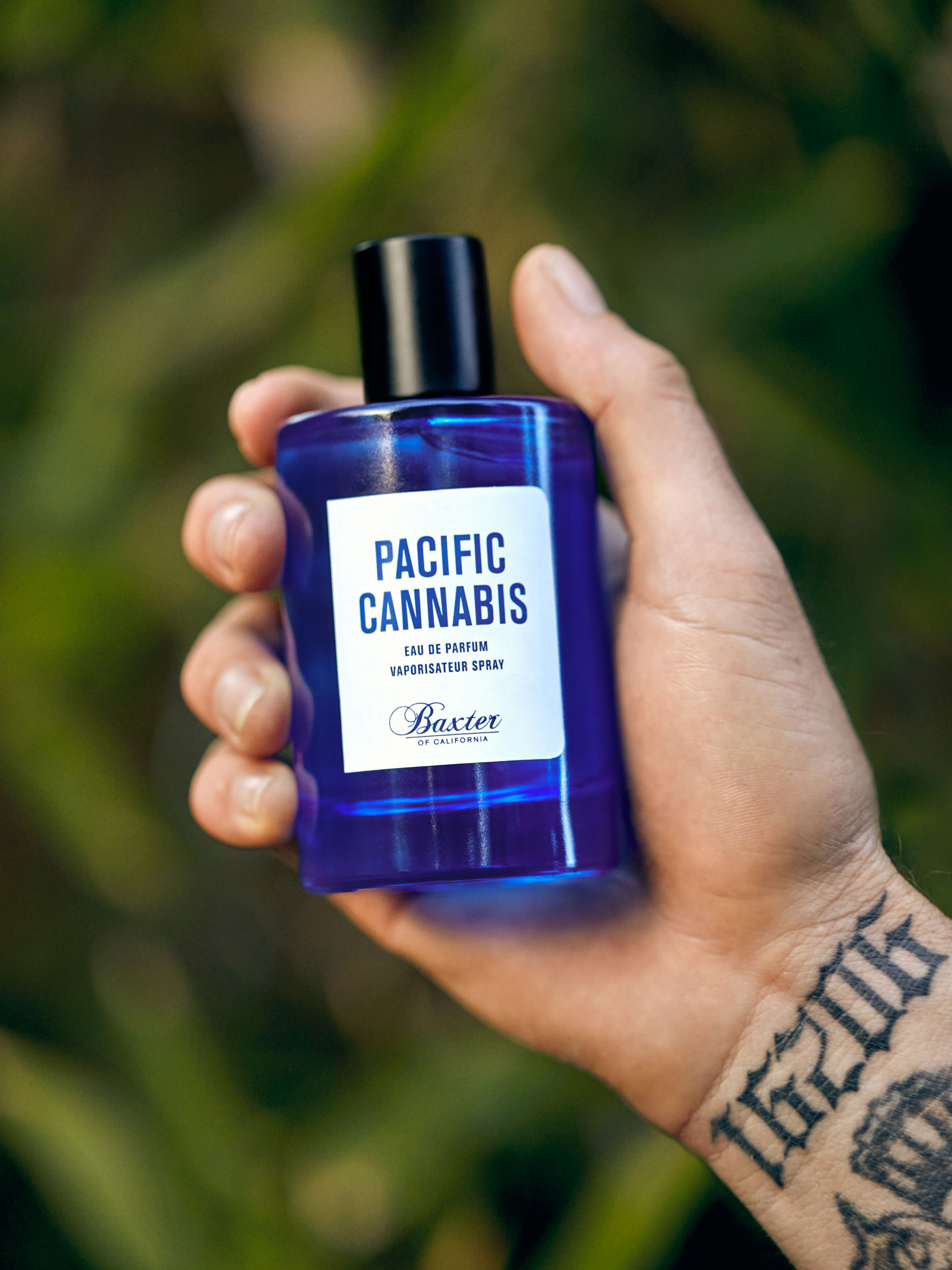 Chris DiGiacomo Branding + Packaging + Design - Pacific Cannabis ...