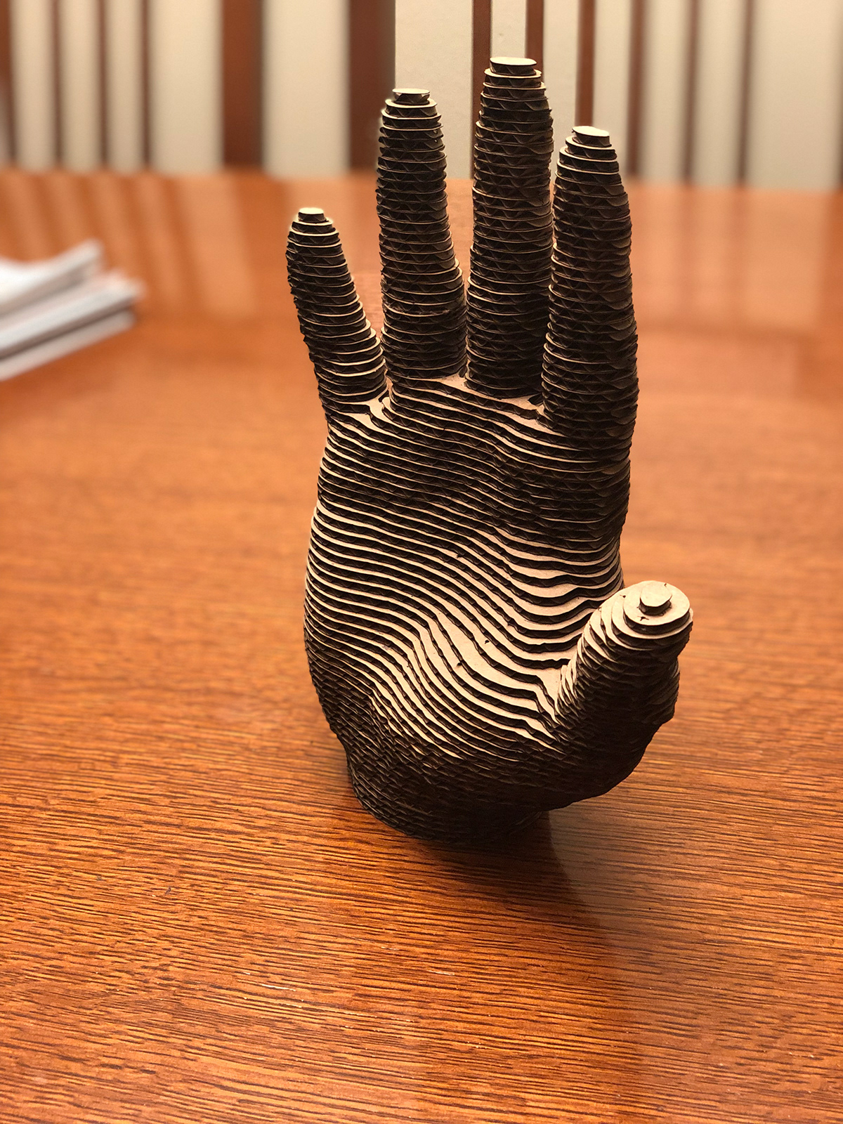 Gary Zorko - 3D Cardboard Human Hand