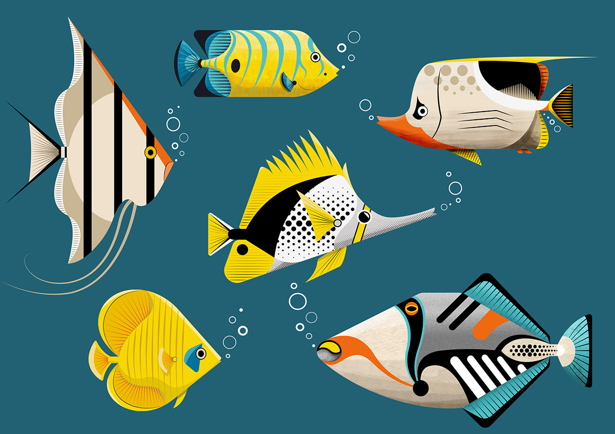 Alexia Hart - TROPICAL FISH DESIGN