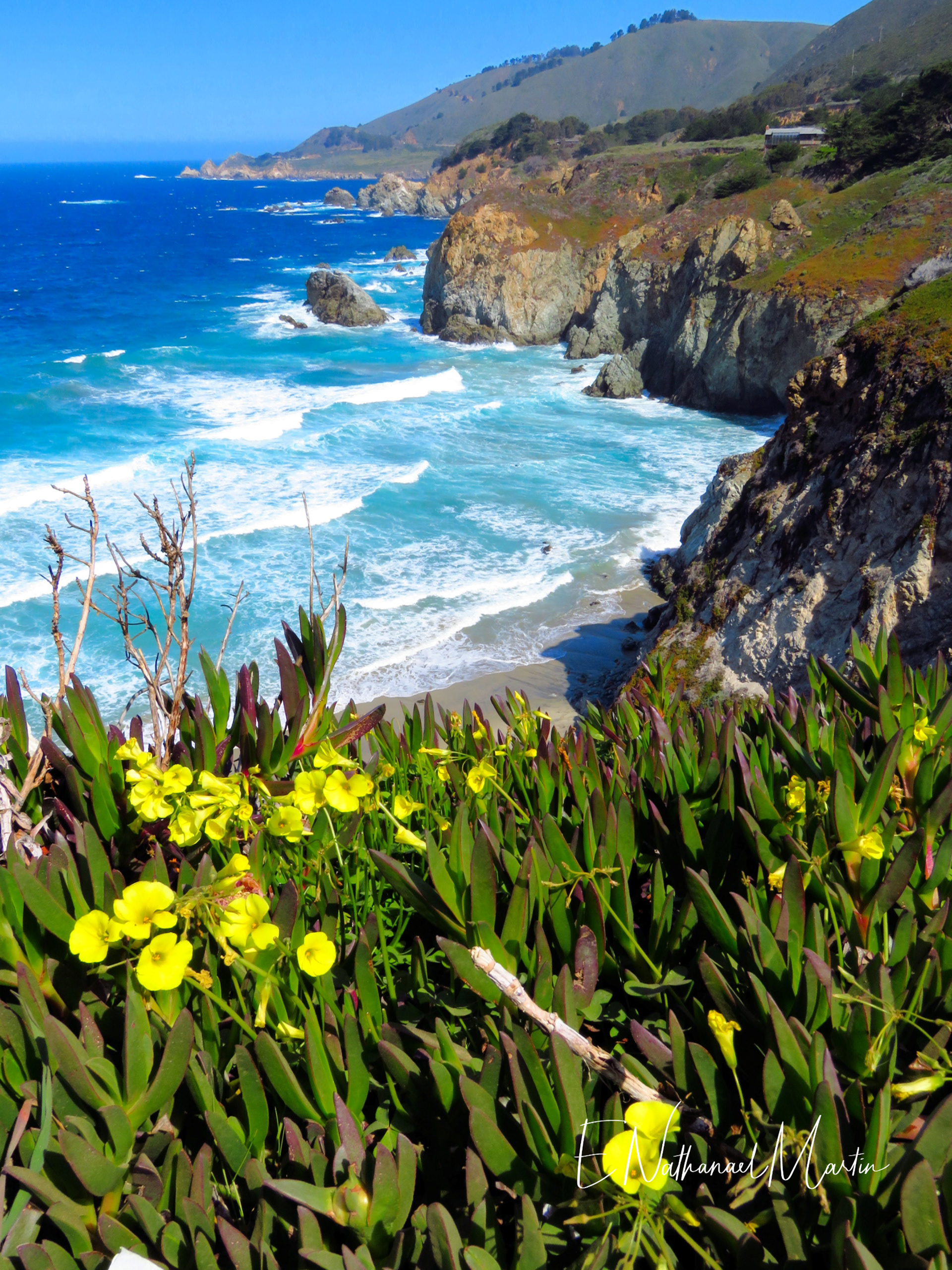 Nature by Nat Photography - Big Sur and Monterey