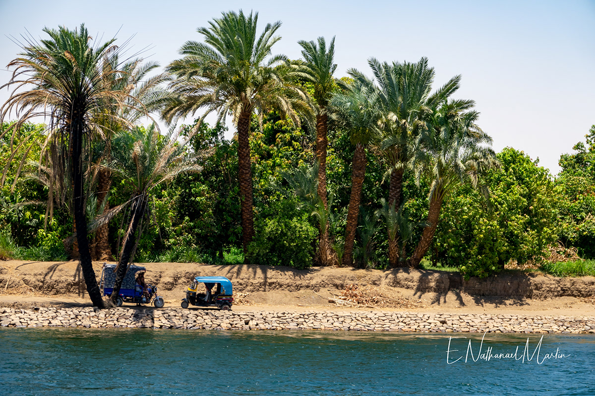 Nature by Nat Photography - Egypt