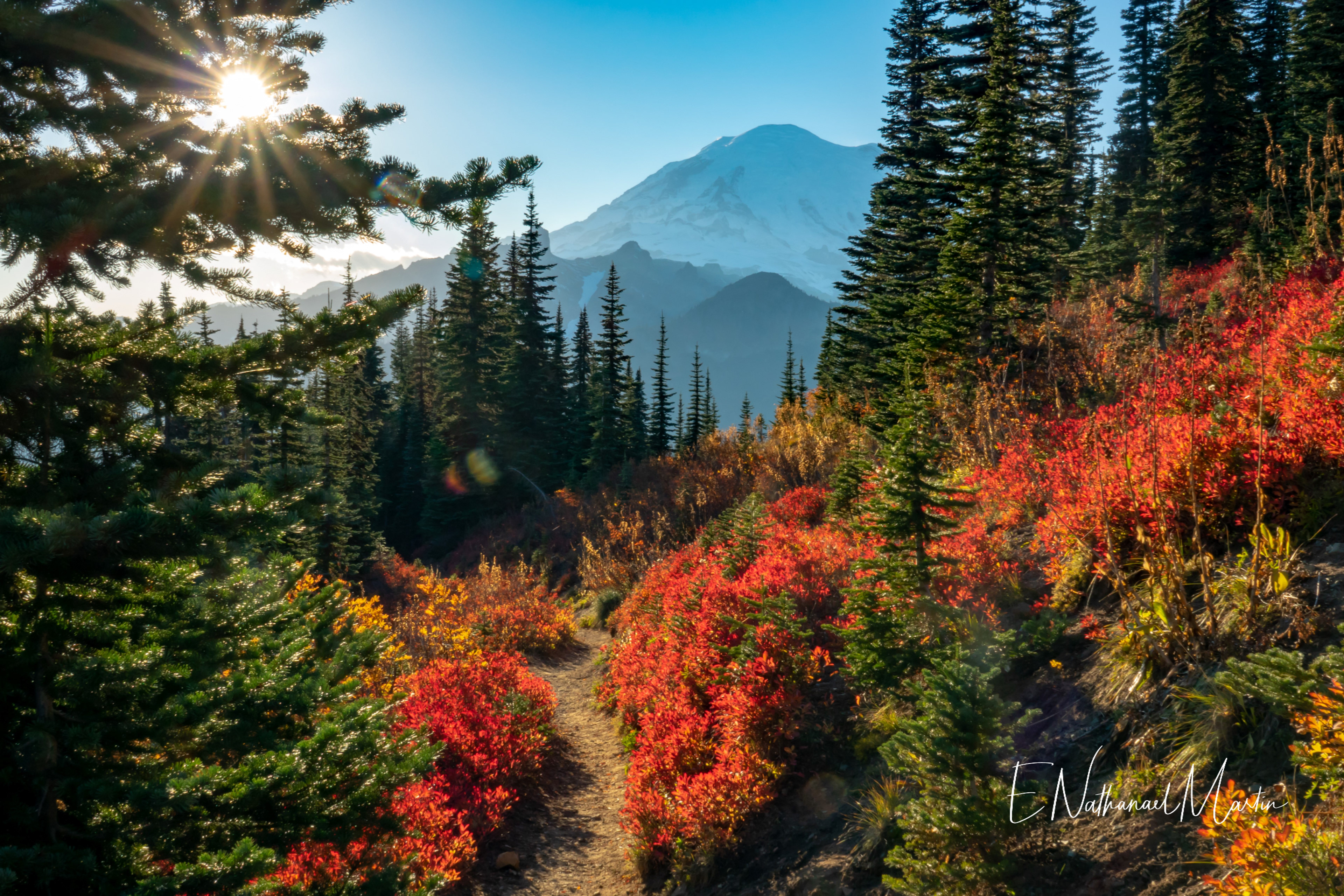 Nature by Nat Photography - Rainier Fall Colors