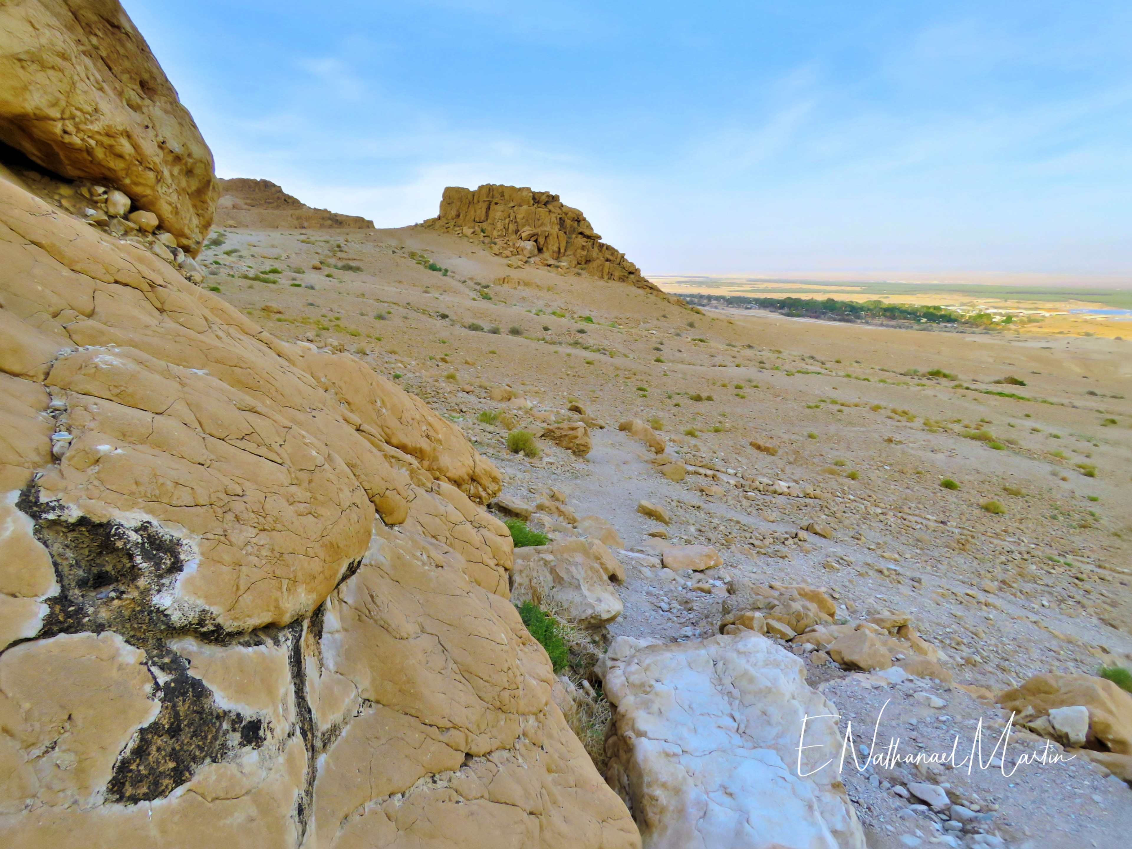 Nature by Nat Photography - Israel and Jordan