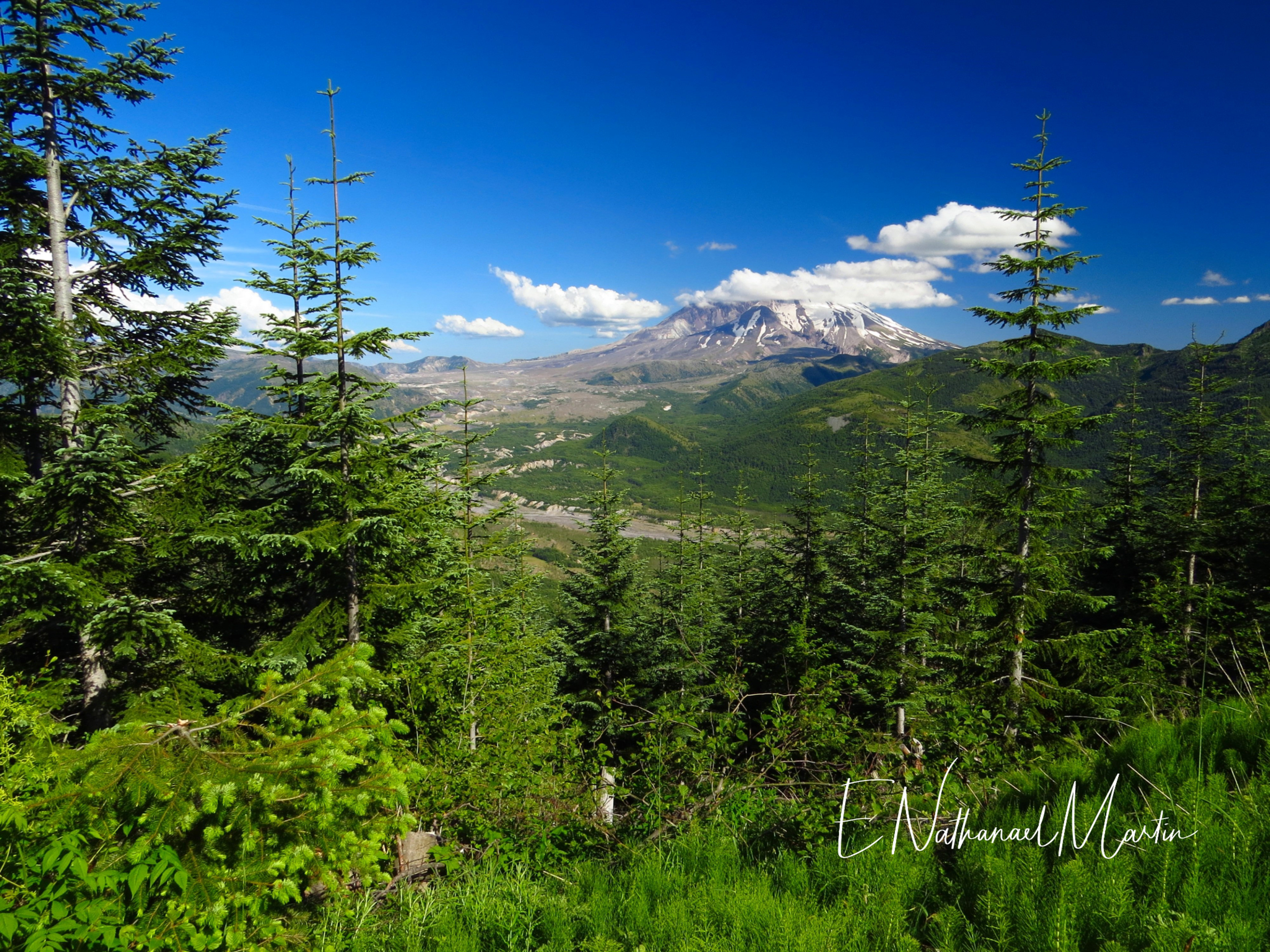 Nature by Nat Photography - Mount Saint Helens