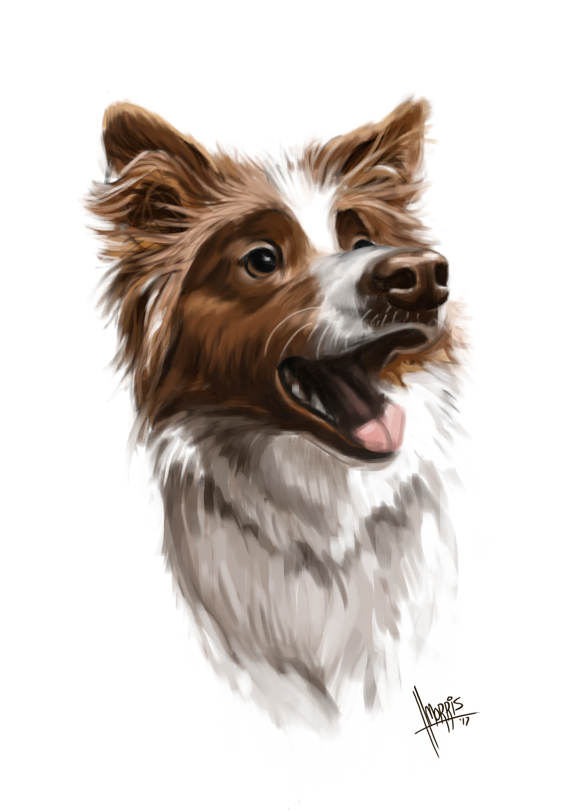 Hayden Morris - Digital Paintings