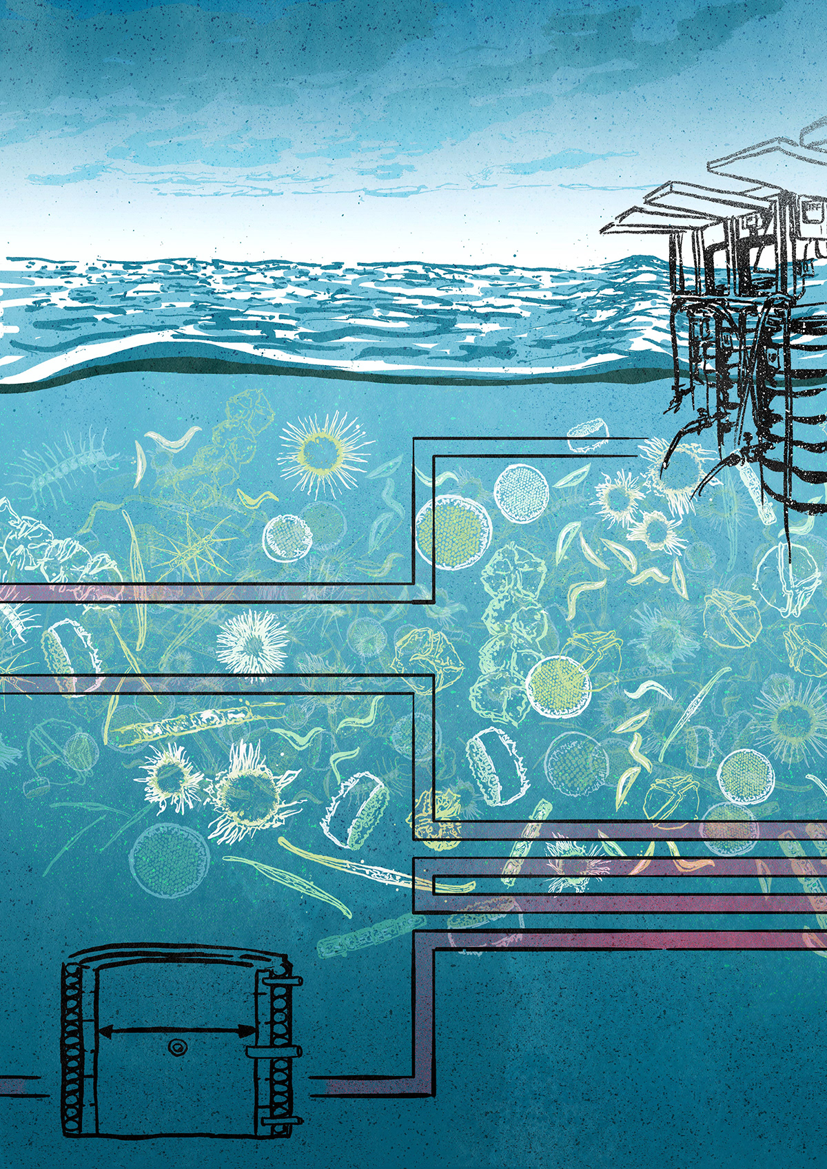 slmillustration - Sea Soup